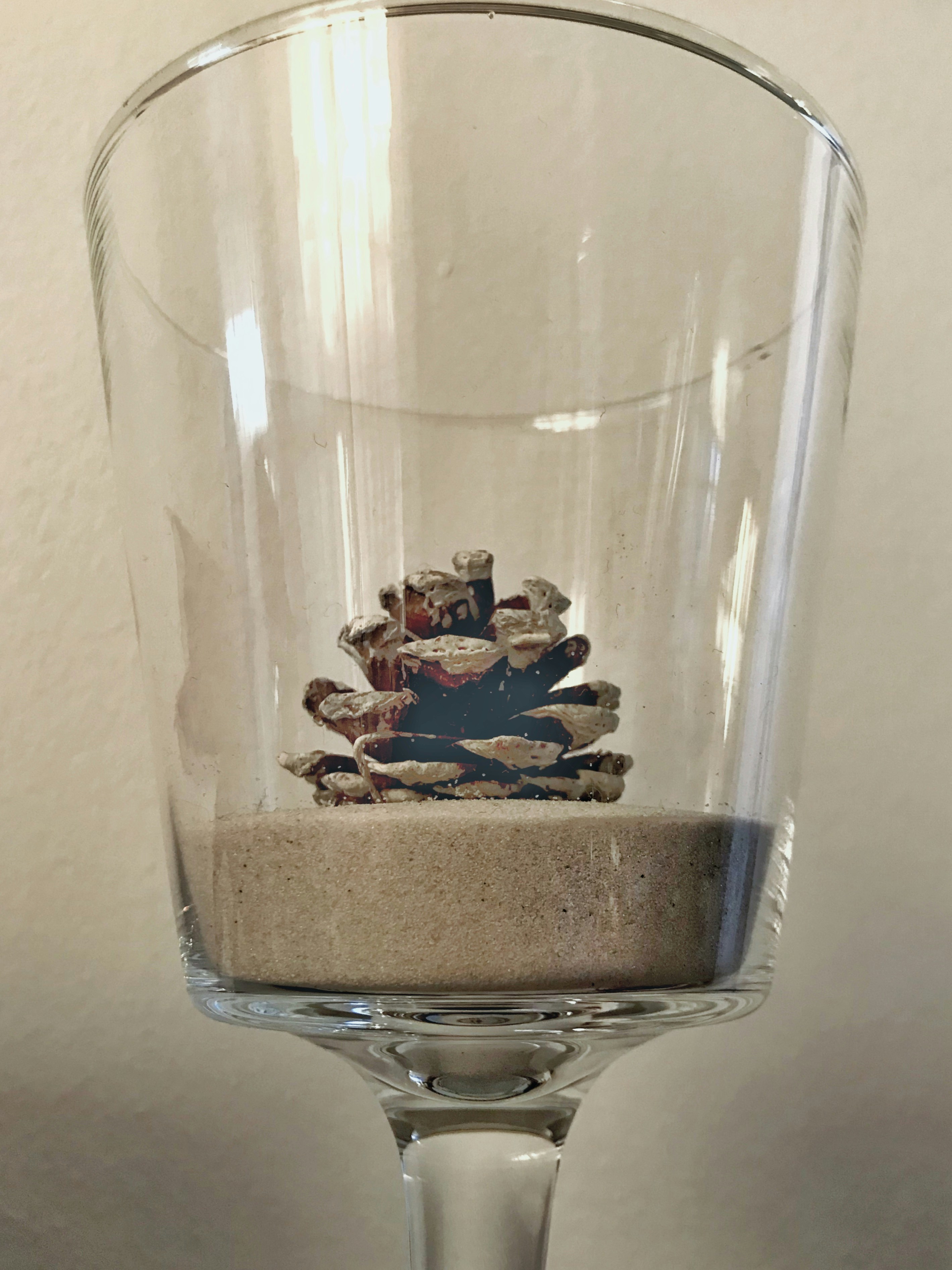 Pinecone nestled in a layer of sand inside a clear glass vessel, showcasing a minimalist nature display.