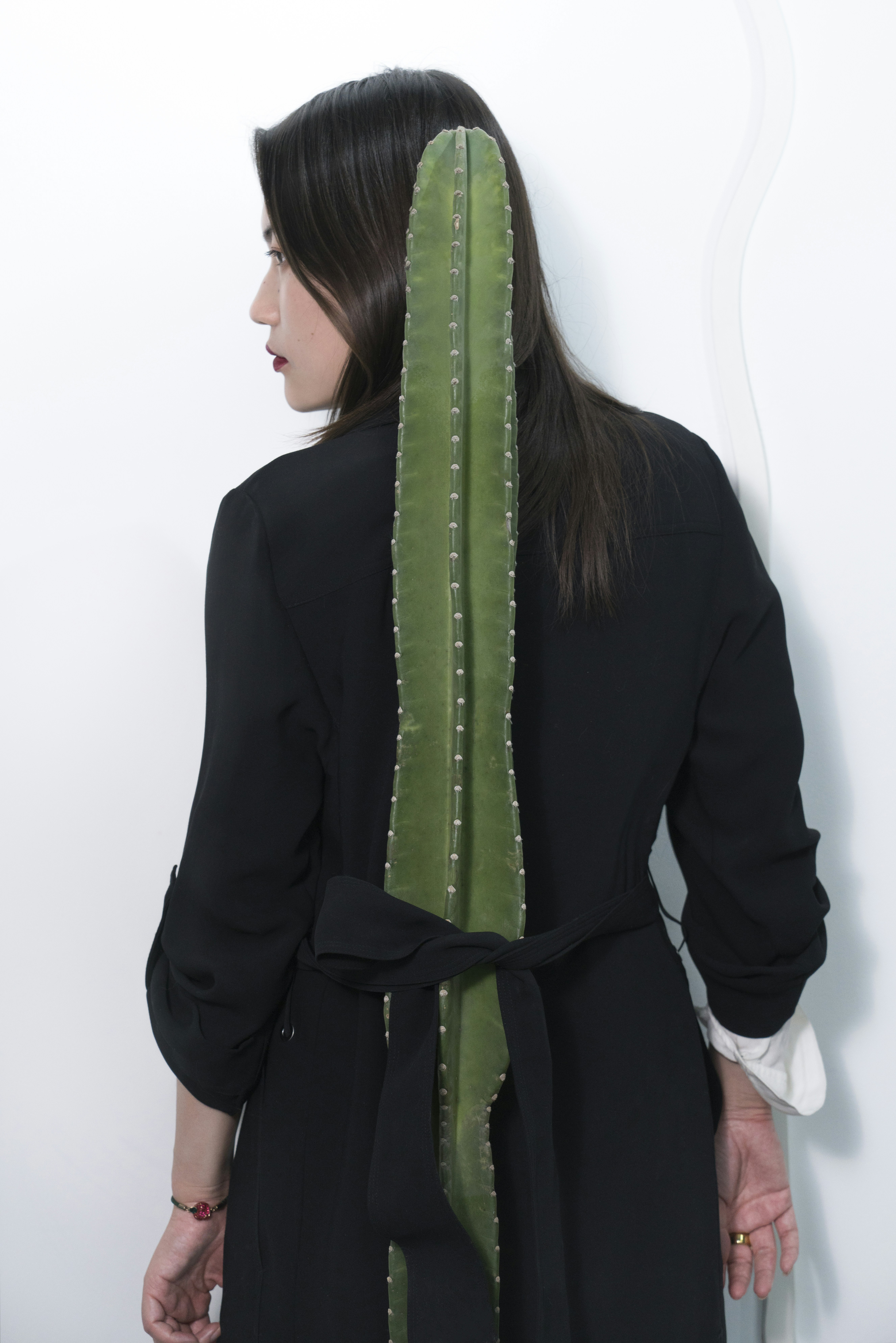 Silent Advocate: A Vertical Tale with a Tall Companion