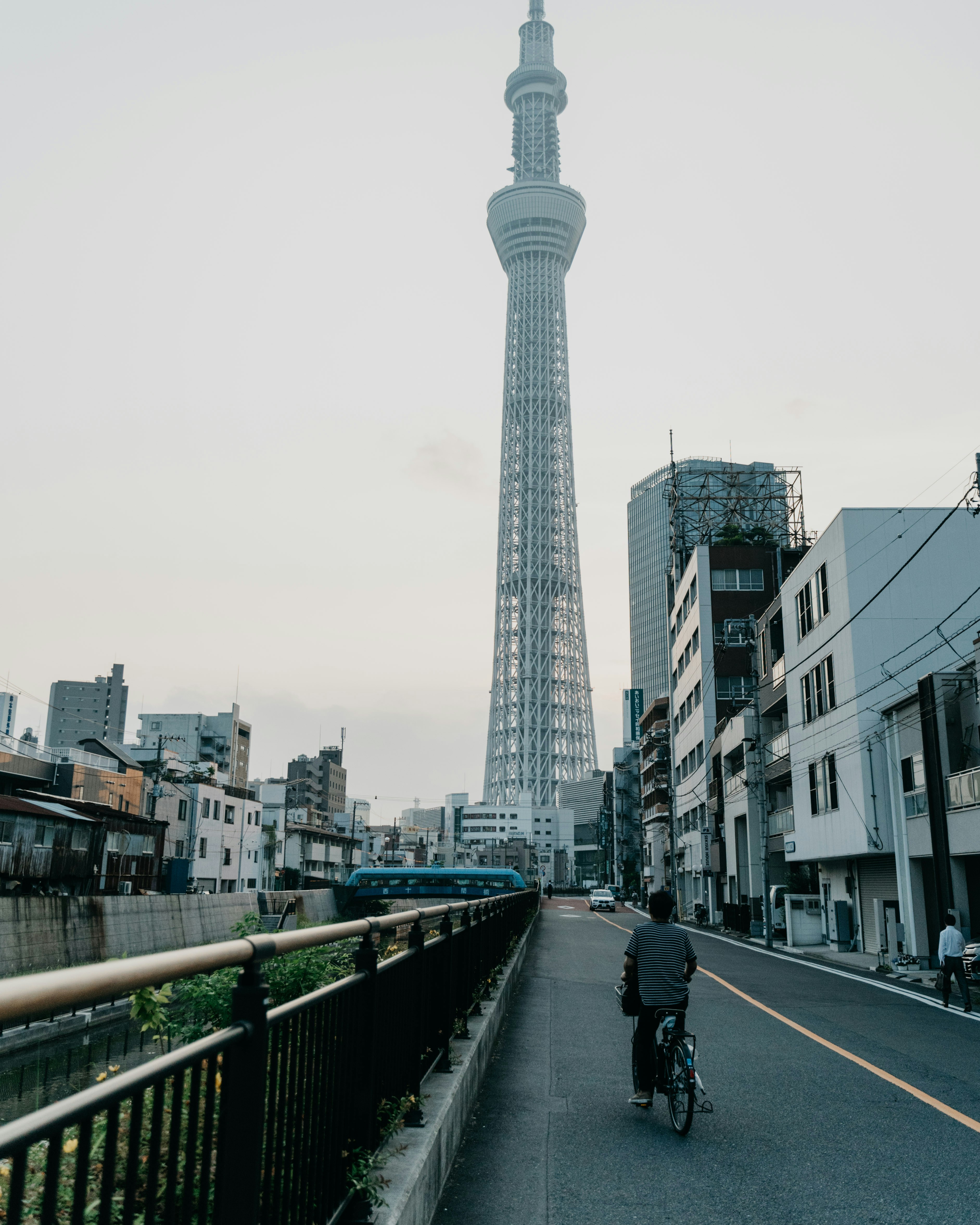 Pedaling Toward a Giant: Tokyo Skytree Over a Quiet Riverside Street