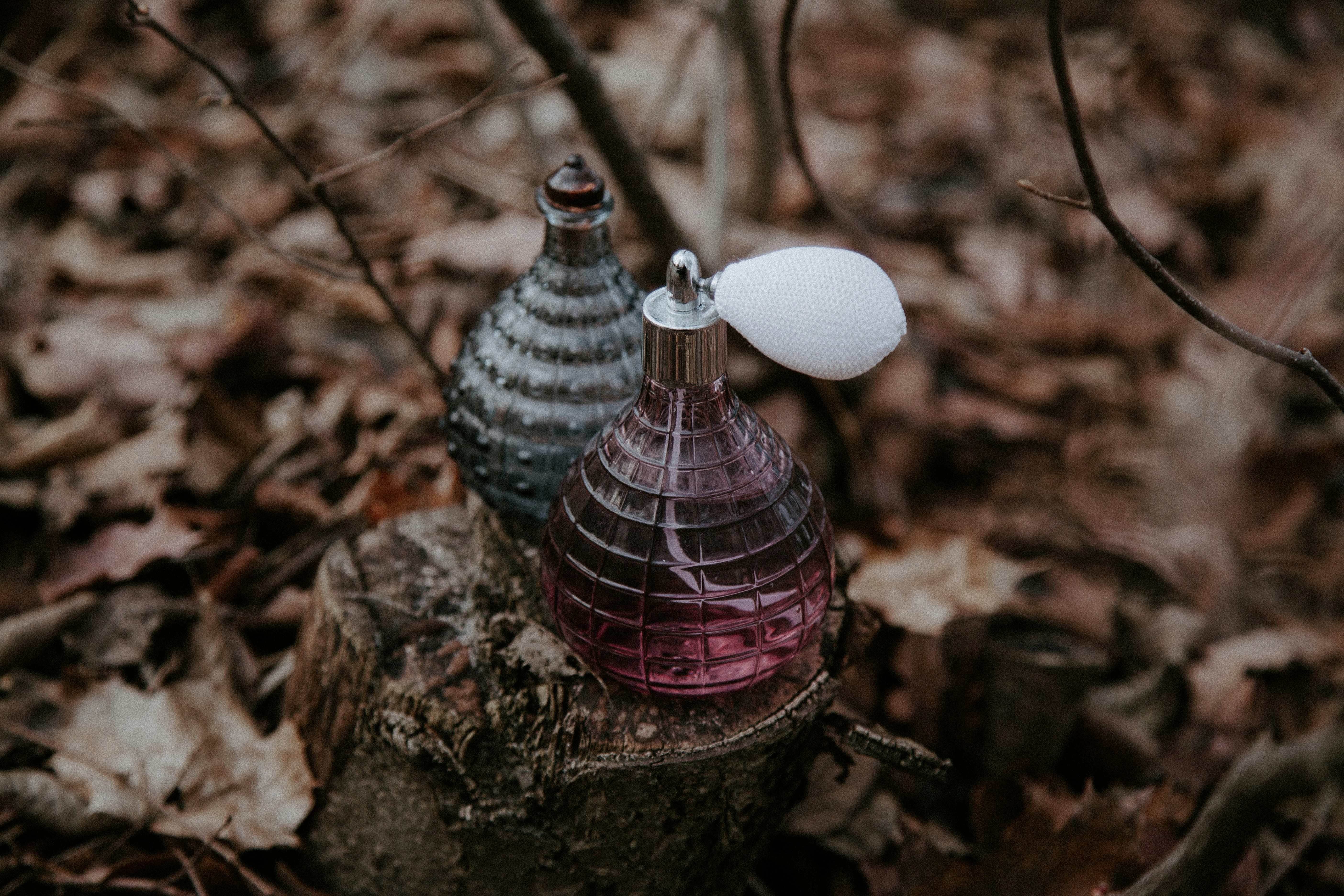 Two elegant perfume bottles resting on a mossy stump amidst fallen leaves, evoking a sense of nature's tranquility.