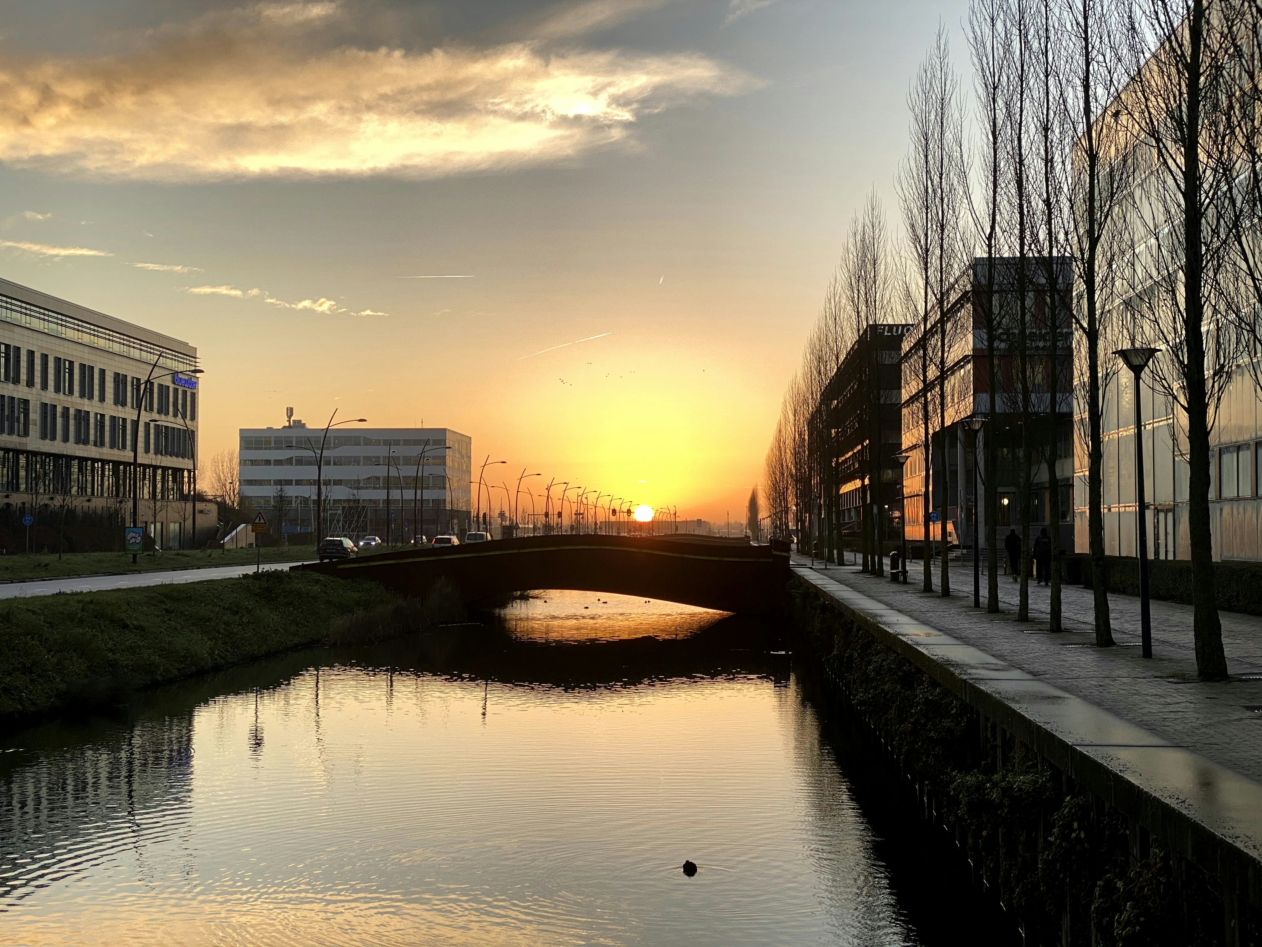 Qing Ye (@flyerwolf) | Unsplashフォトコミュニティ