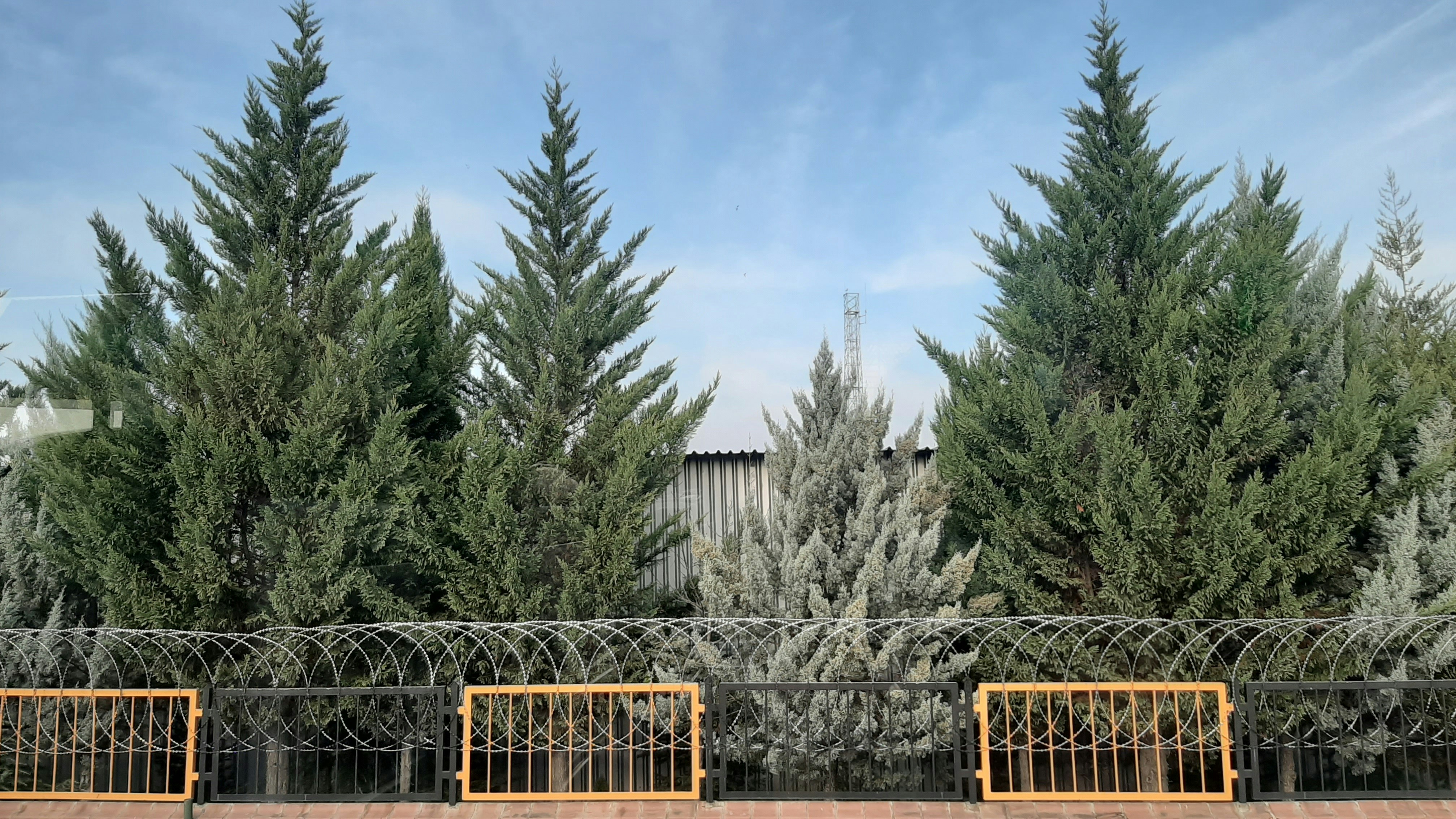 green trees near brown wooden fence during daytime