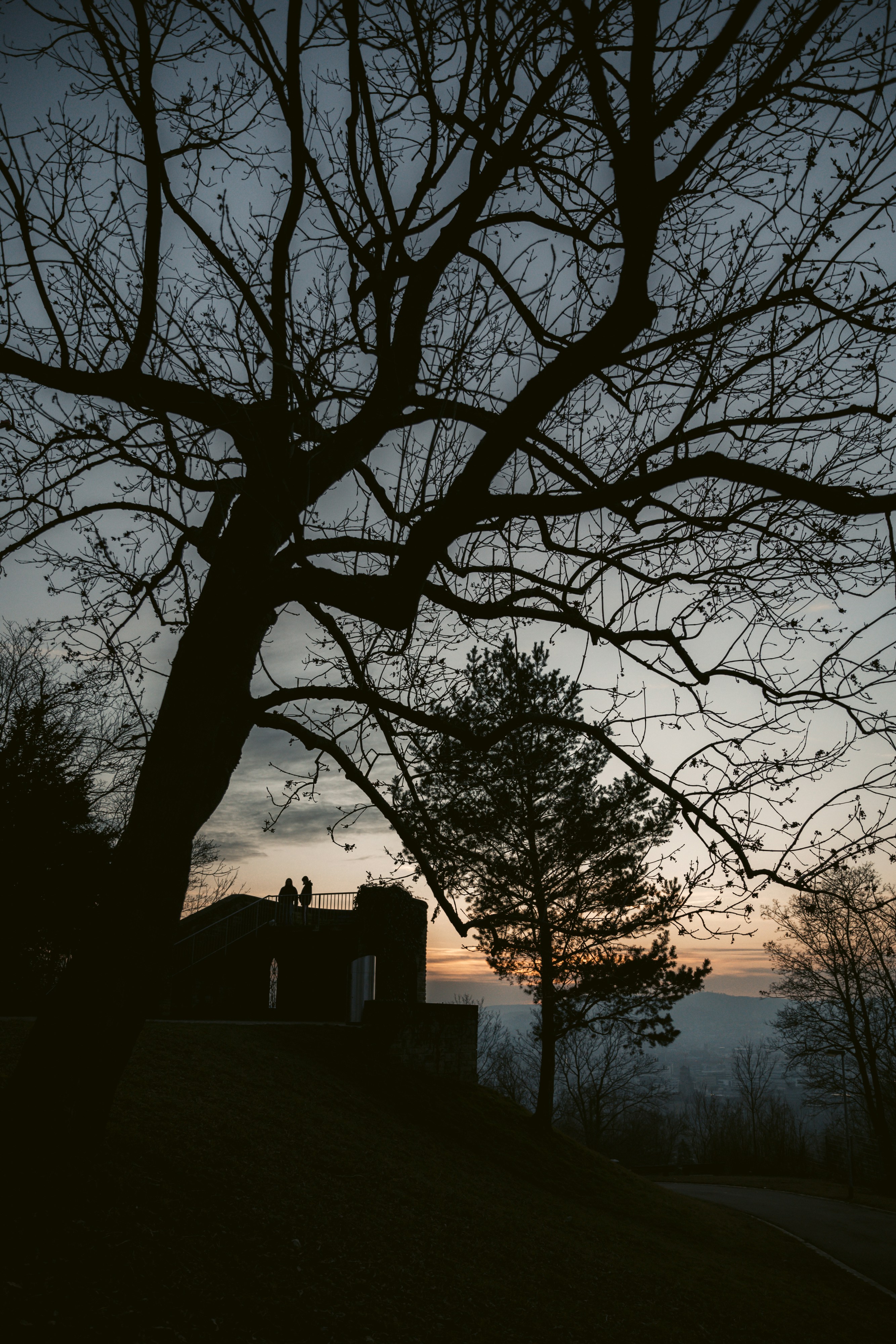 Silhouette of a bare tree with people on a viewing platform during sunset.