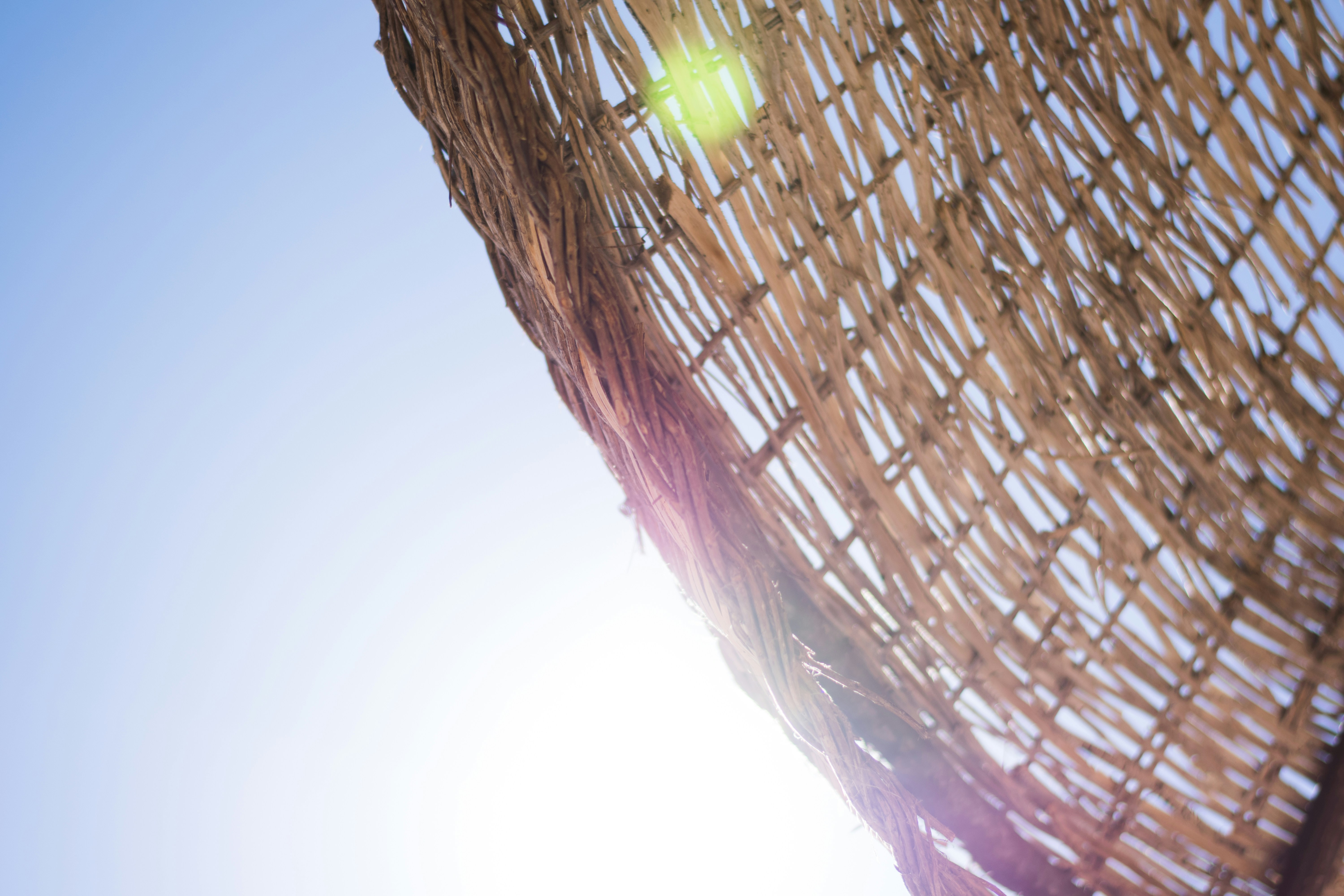 Aviv Cohen (@avivc411) | Komunitas Foto Unsplash