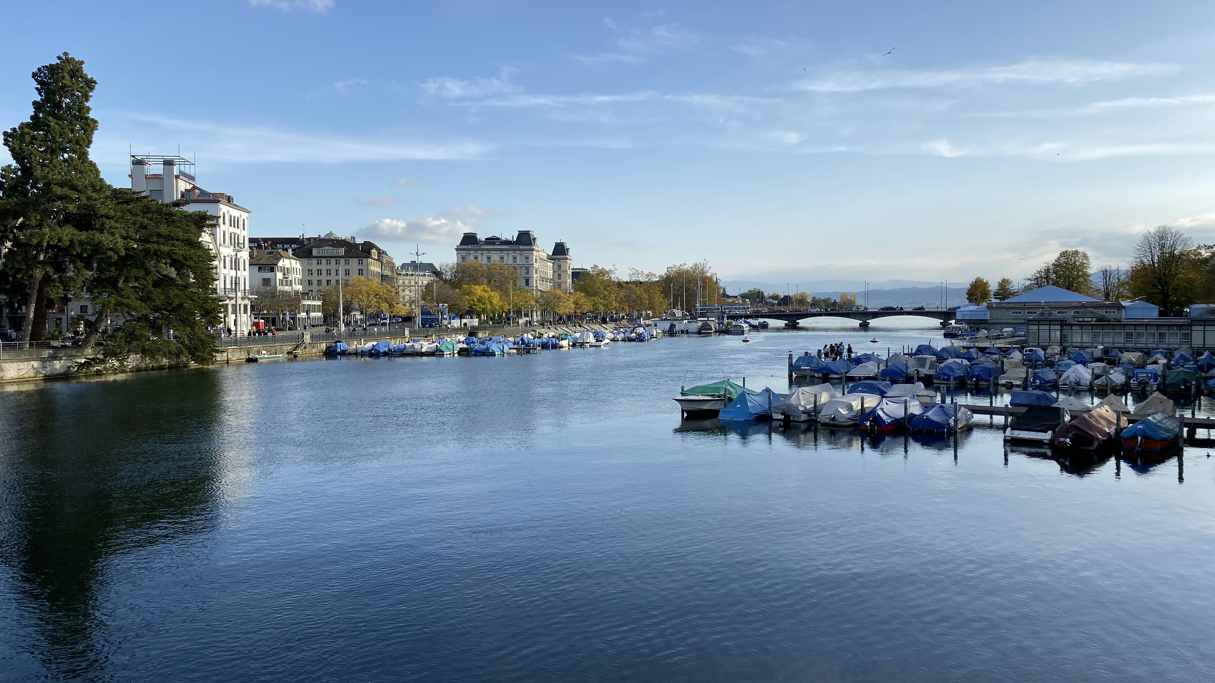 Blue and white boat on sea during daytime photo – Free Zurich Image on ...