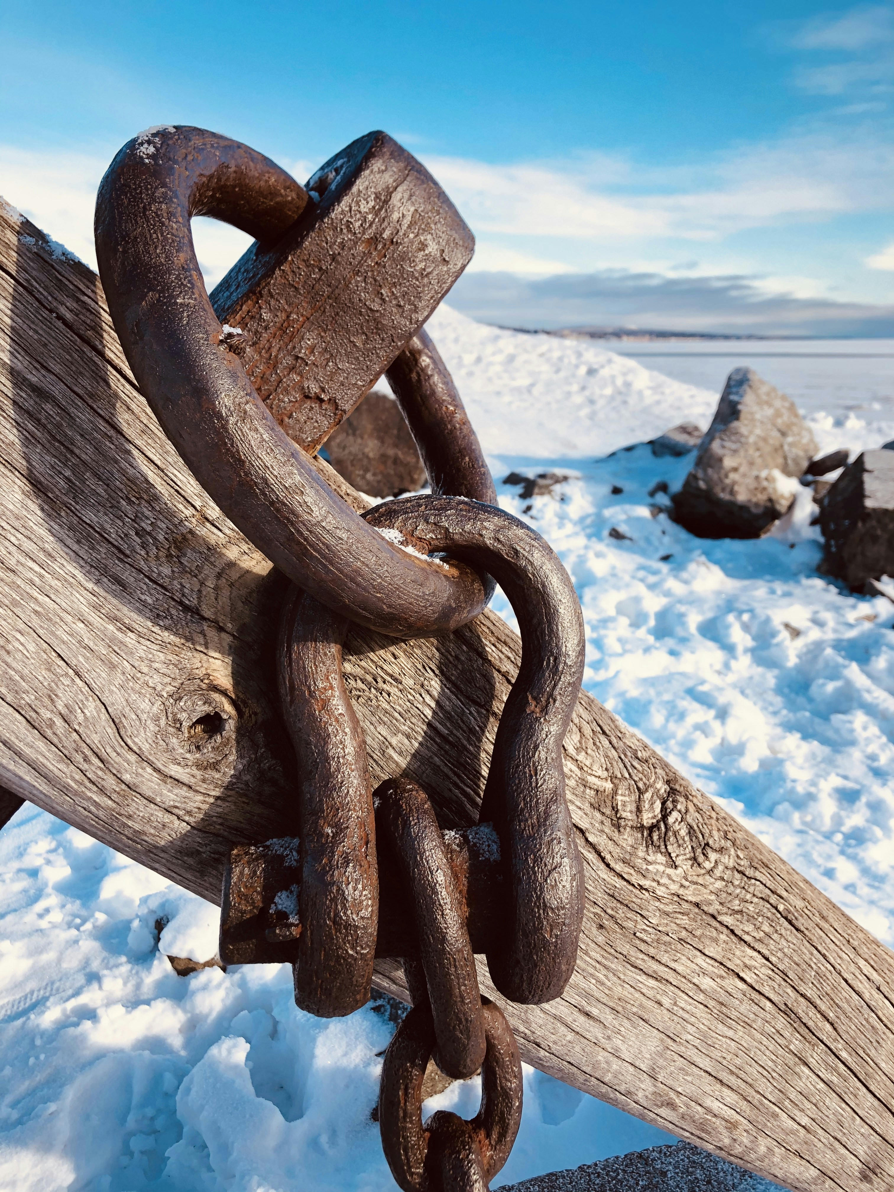 Rusted Chains Clinging to Driftwood in a Snow-Covered Seashore