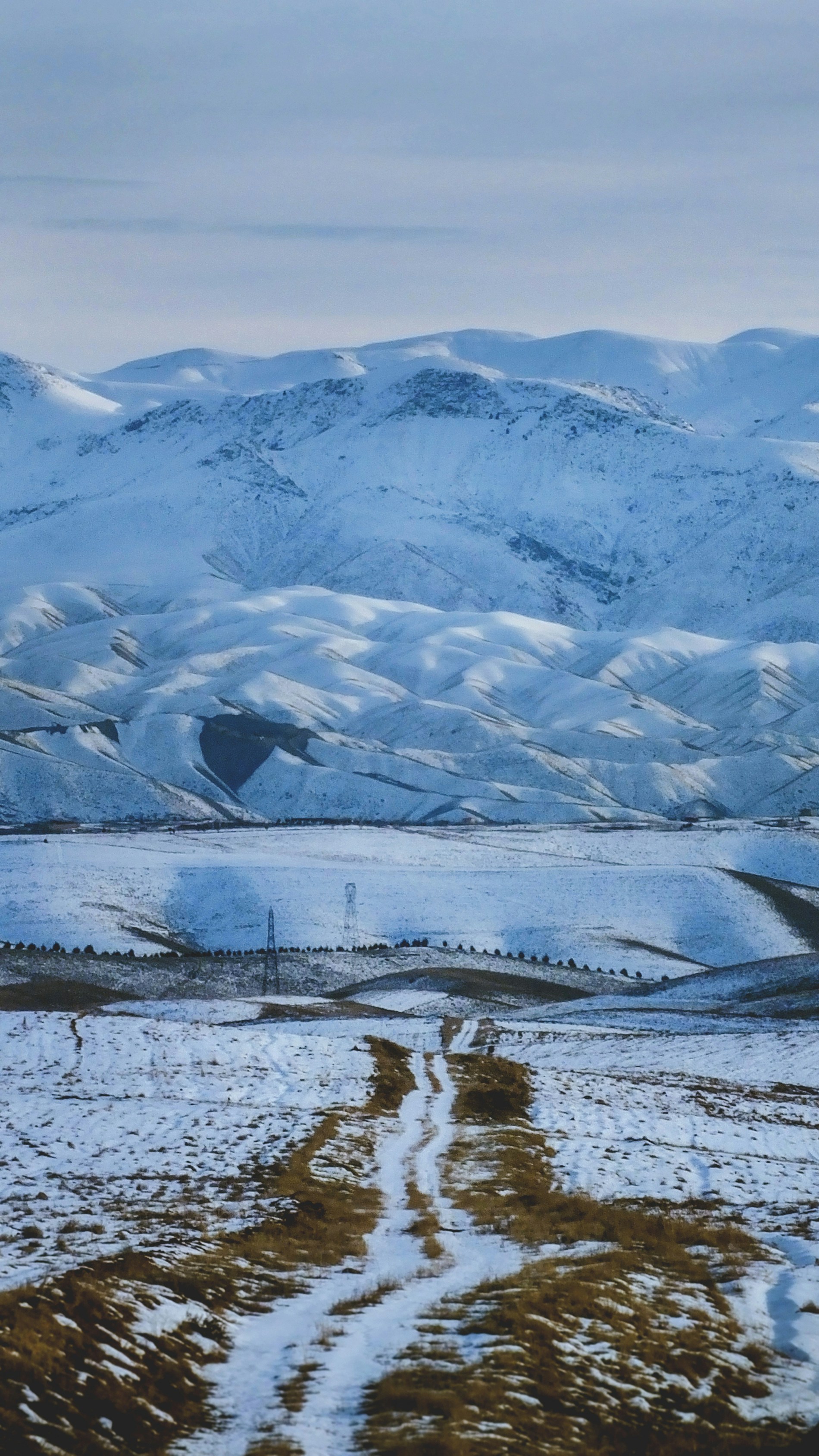 Snow-Burnished Path Toward the Frosted Horizon