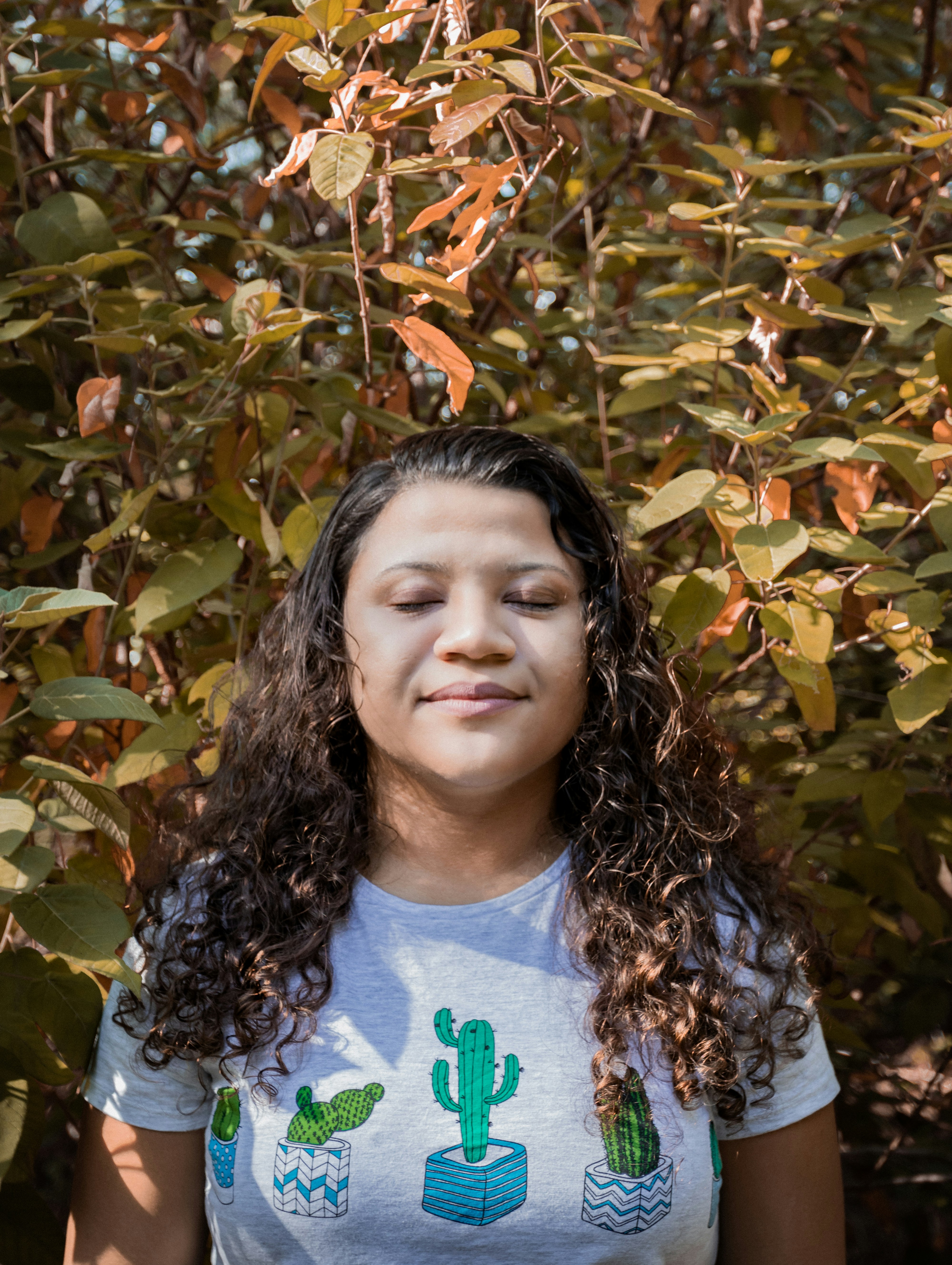 Sunlit Quiet: A Portrait in Autumnal Foliage