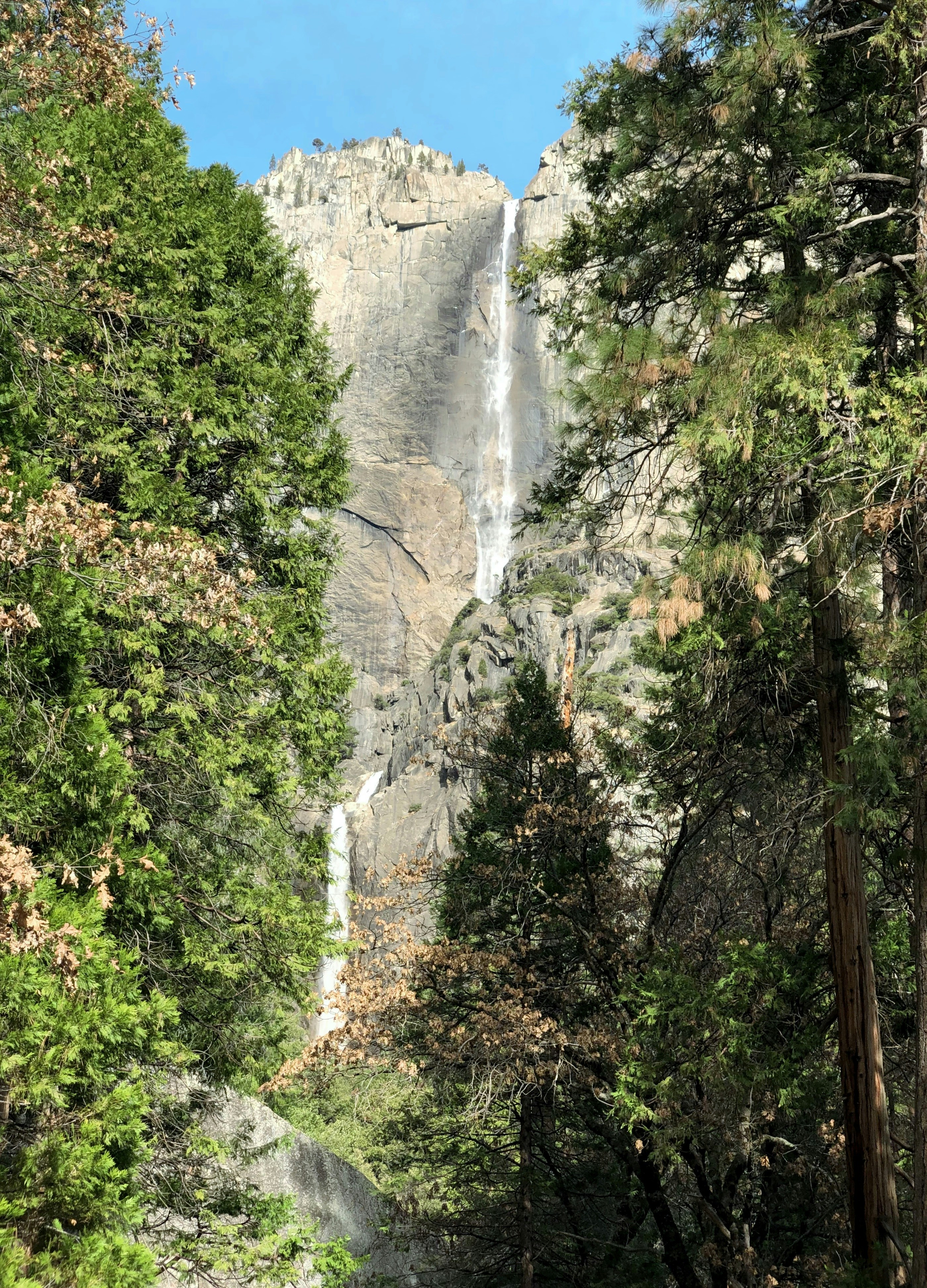 Yosemite FallsJames Lee