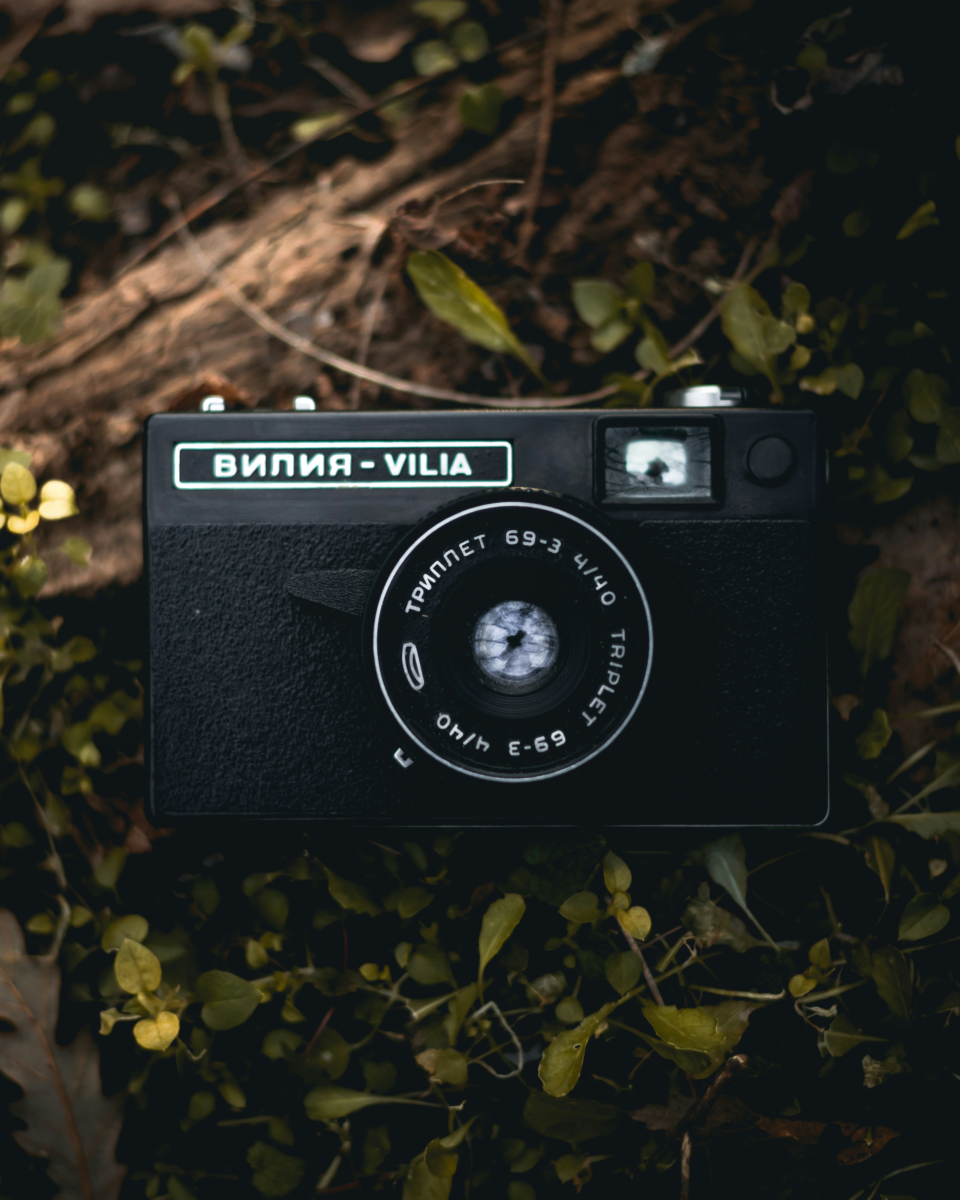 Classic Vilia camera resting on a forest floor surrounded by leaves and twigs.