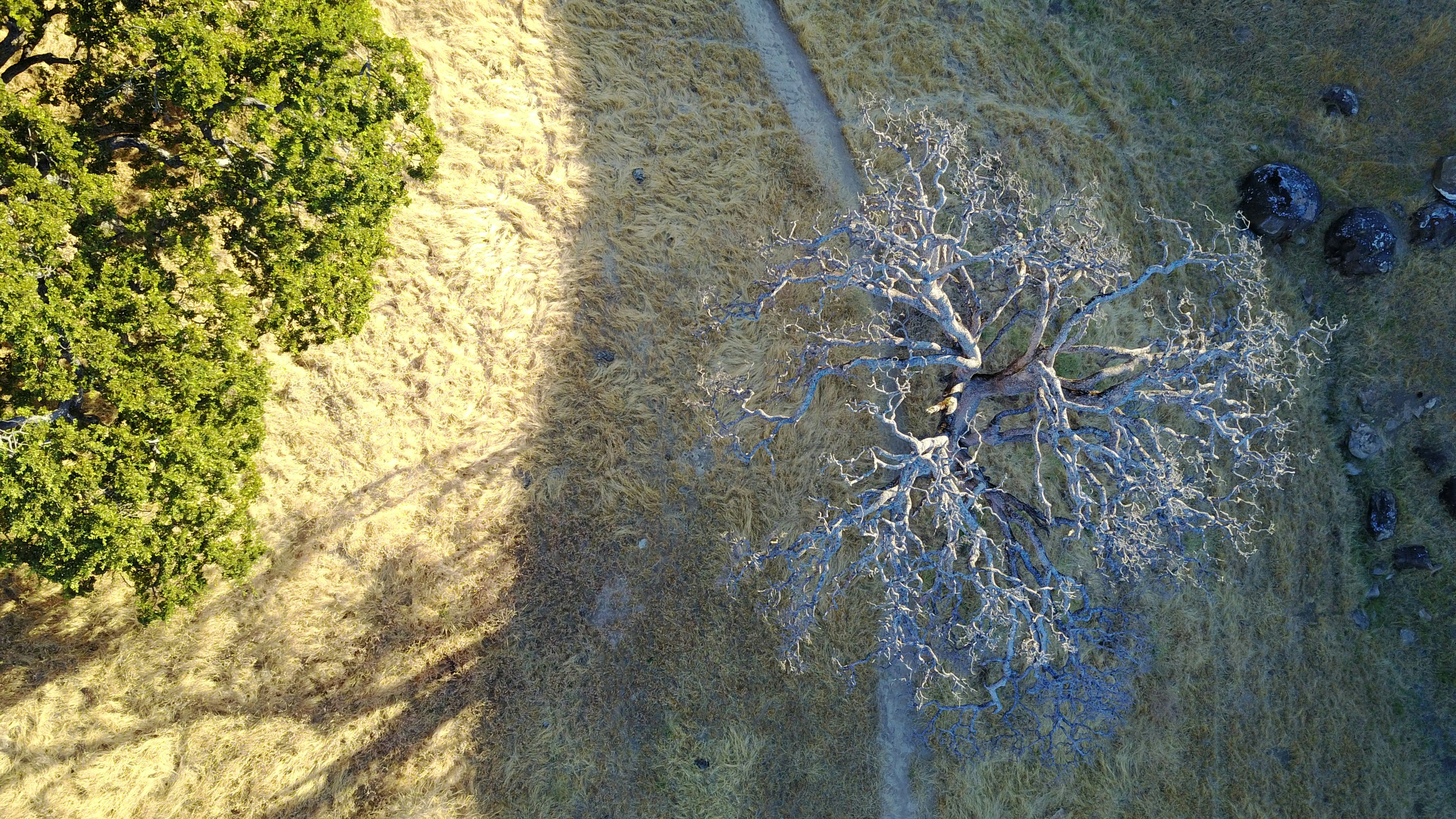 black diamond mines regional preserve, contra costa county, california, usa
