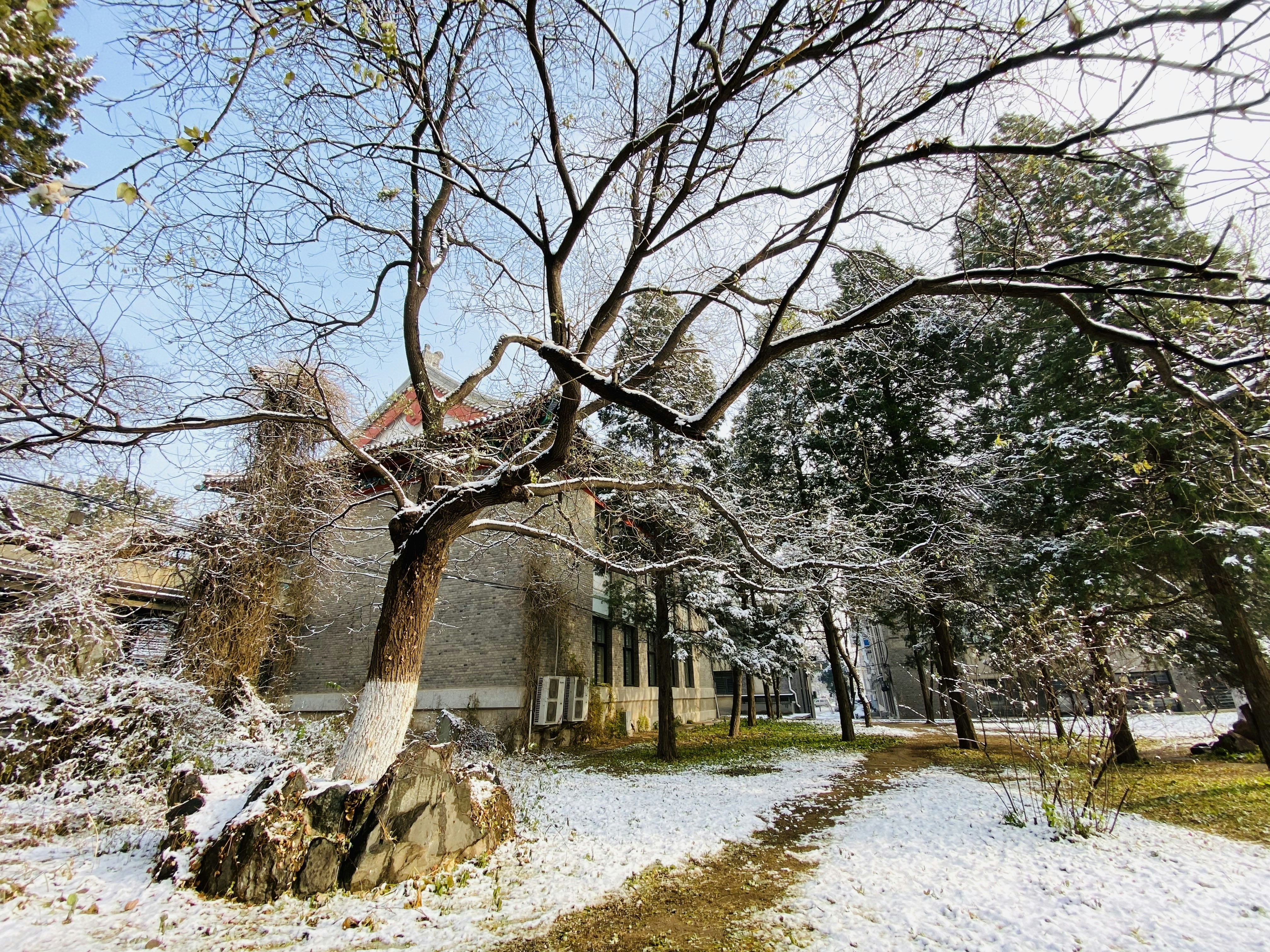 Peking University Pictures | Download Free Images on Unsplash