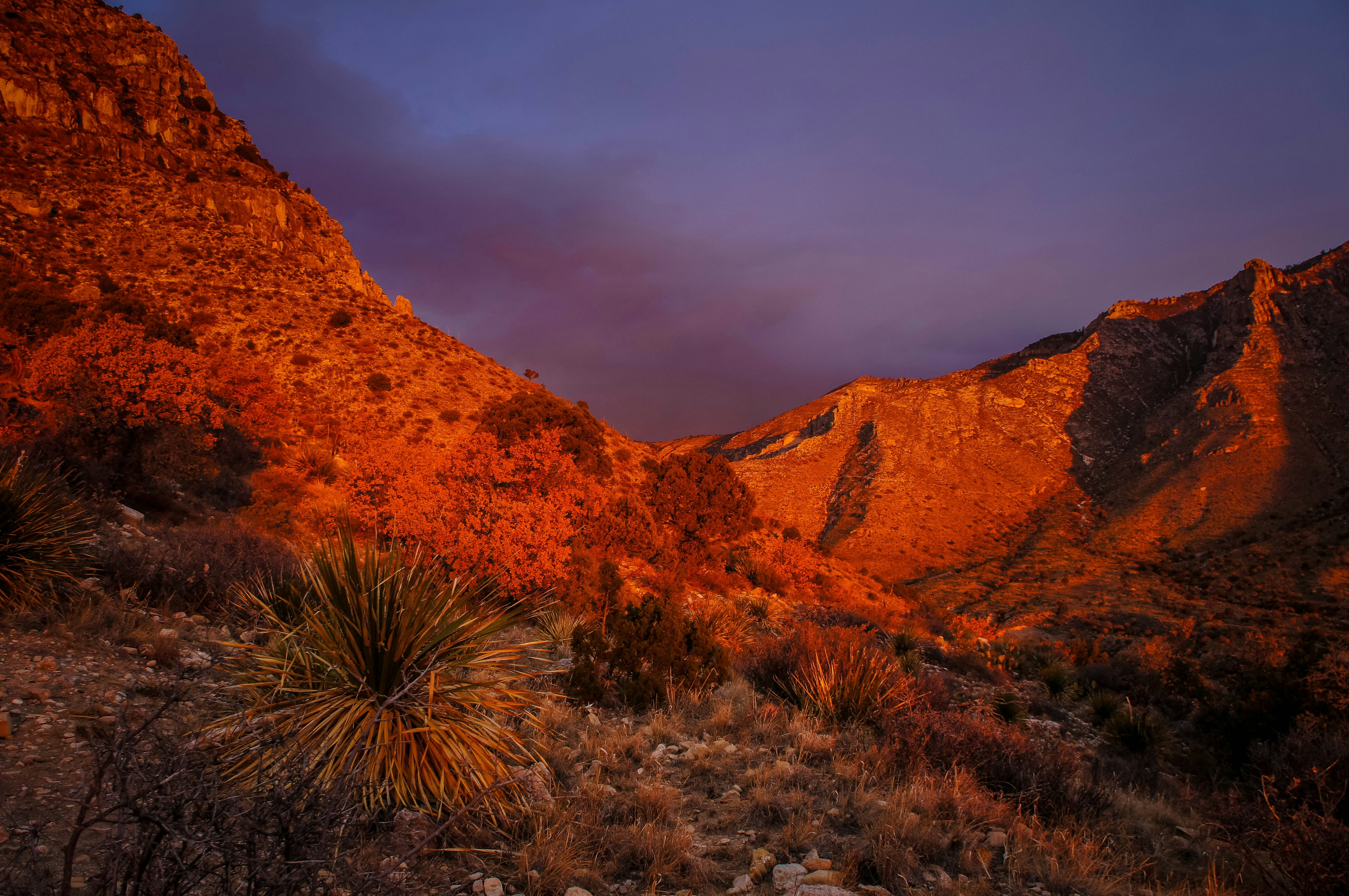 Warm sunrise light casts a golden glow over Guadalupe Mountain's rugged terrain under an approaching snow cloud.