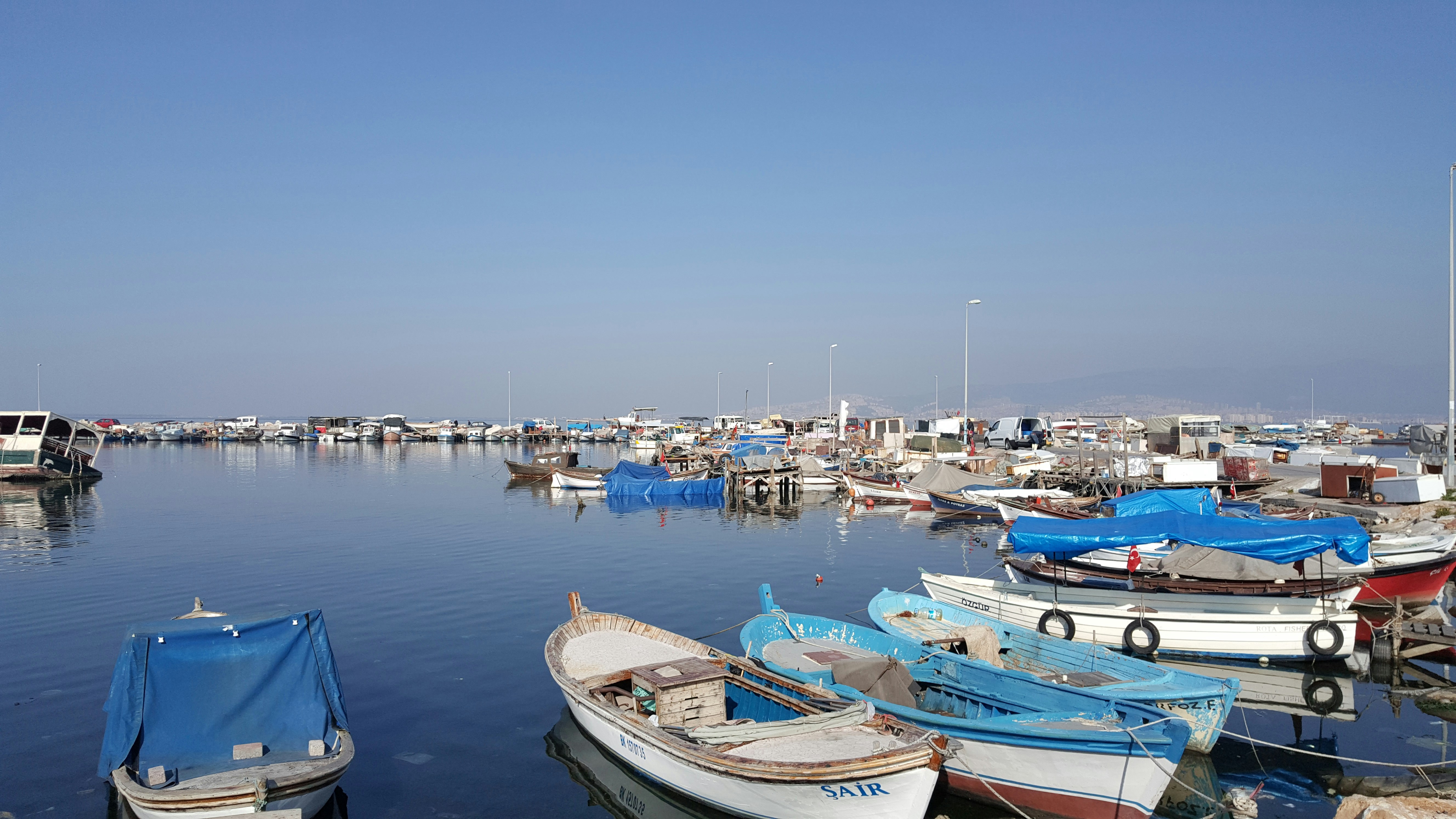 A tranquil harbor scene featuring various boats, some covered with blue tarps, reflecting in calm waters under a clear sky.