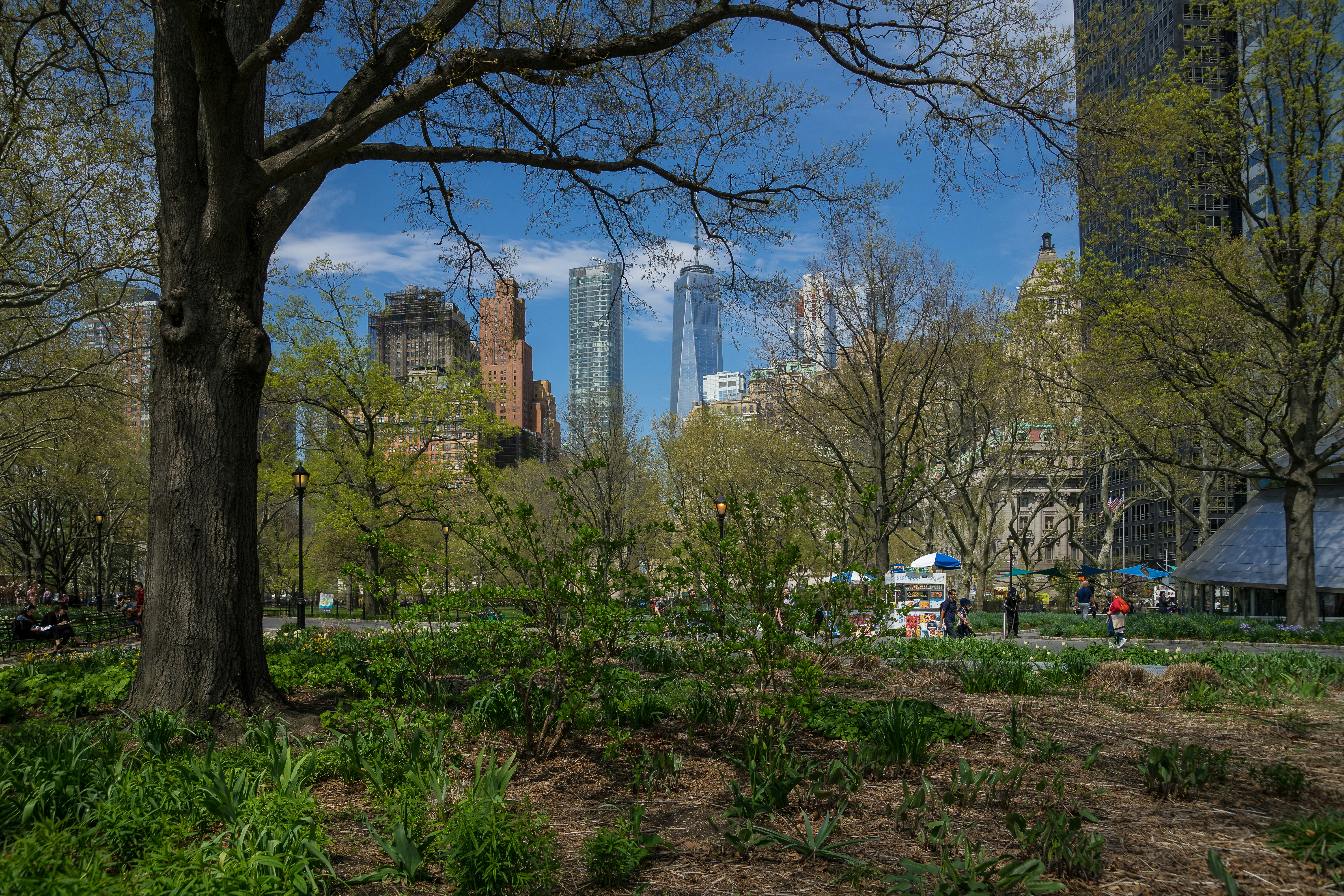 Green grass field near high rise buildings during daytime photo – Free ...
