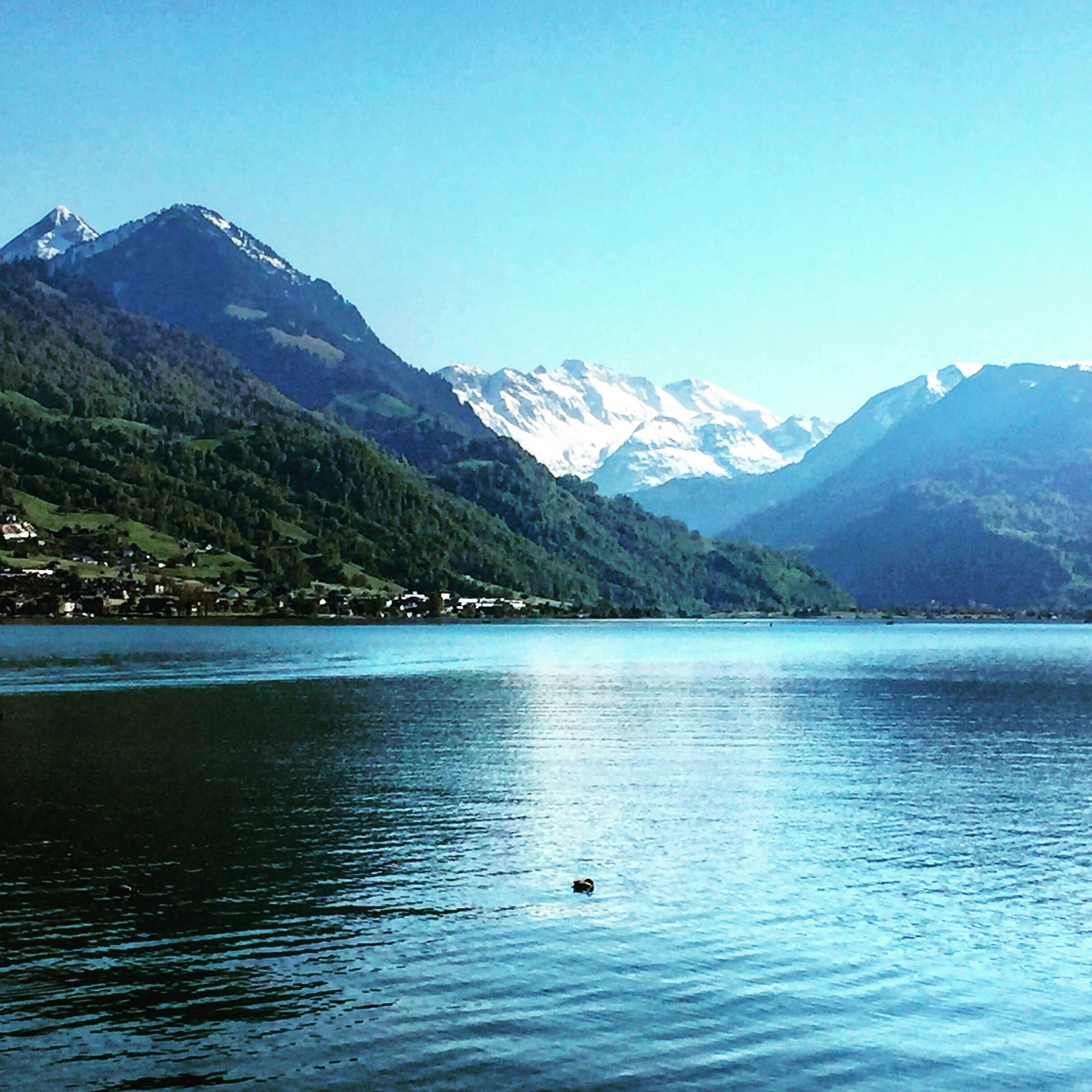 Azure Silence Over the Alpine Lake Beneath Snow-Capped Peaks
