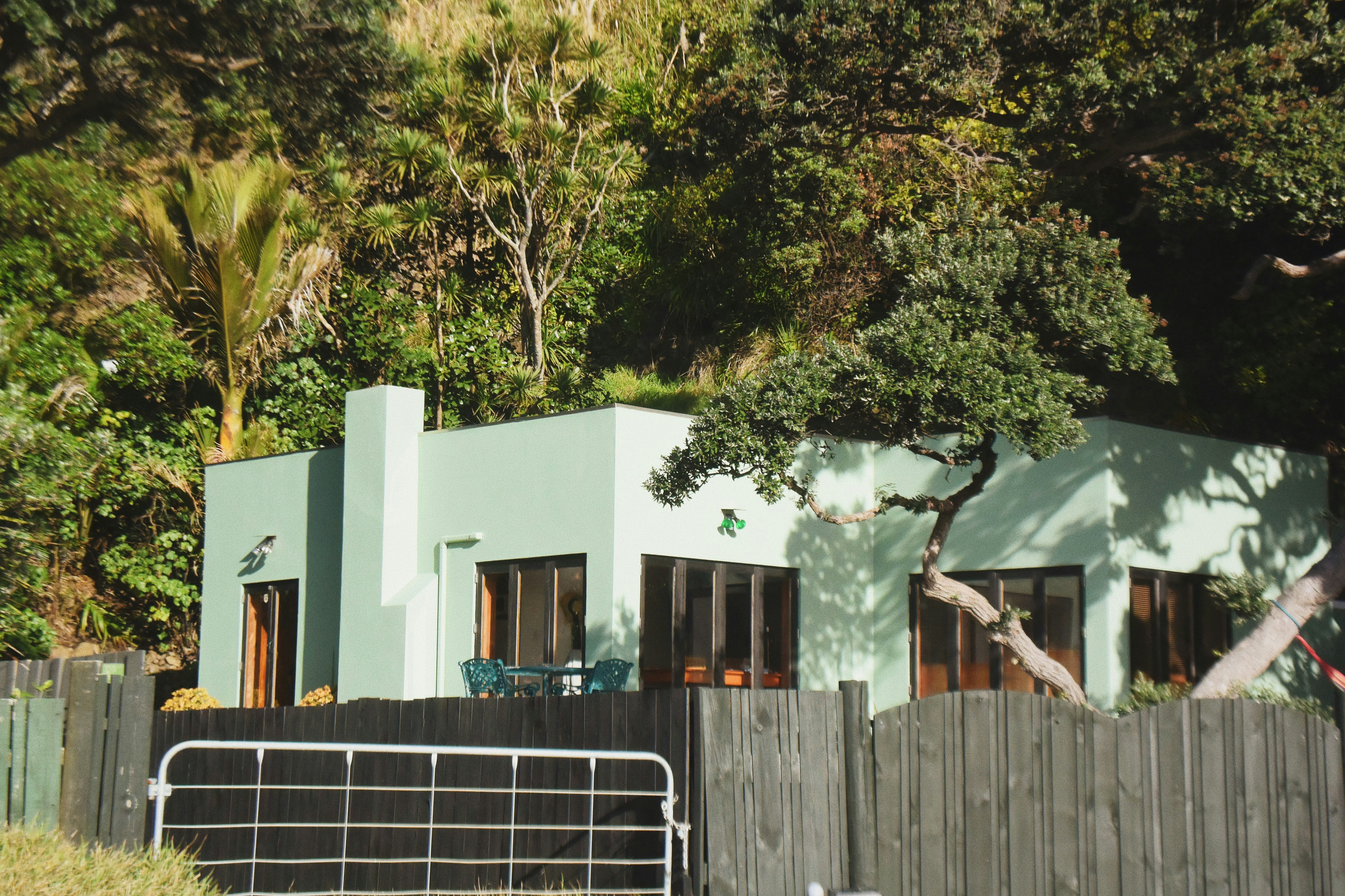 Green house nestled in lush foliage with sunlight casting shadows on the walls.