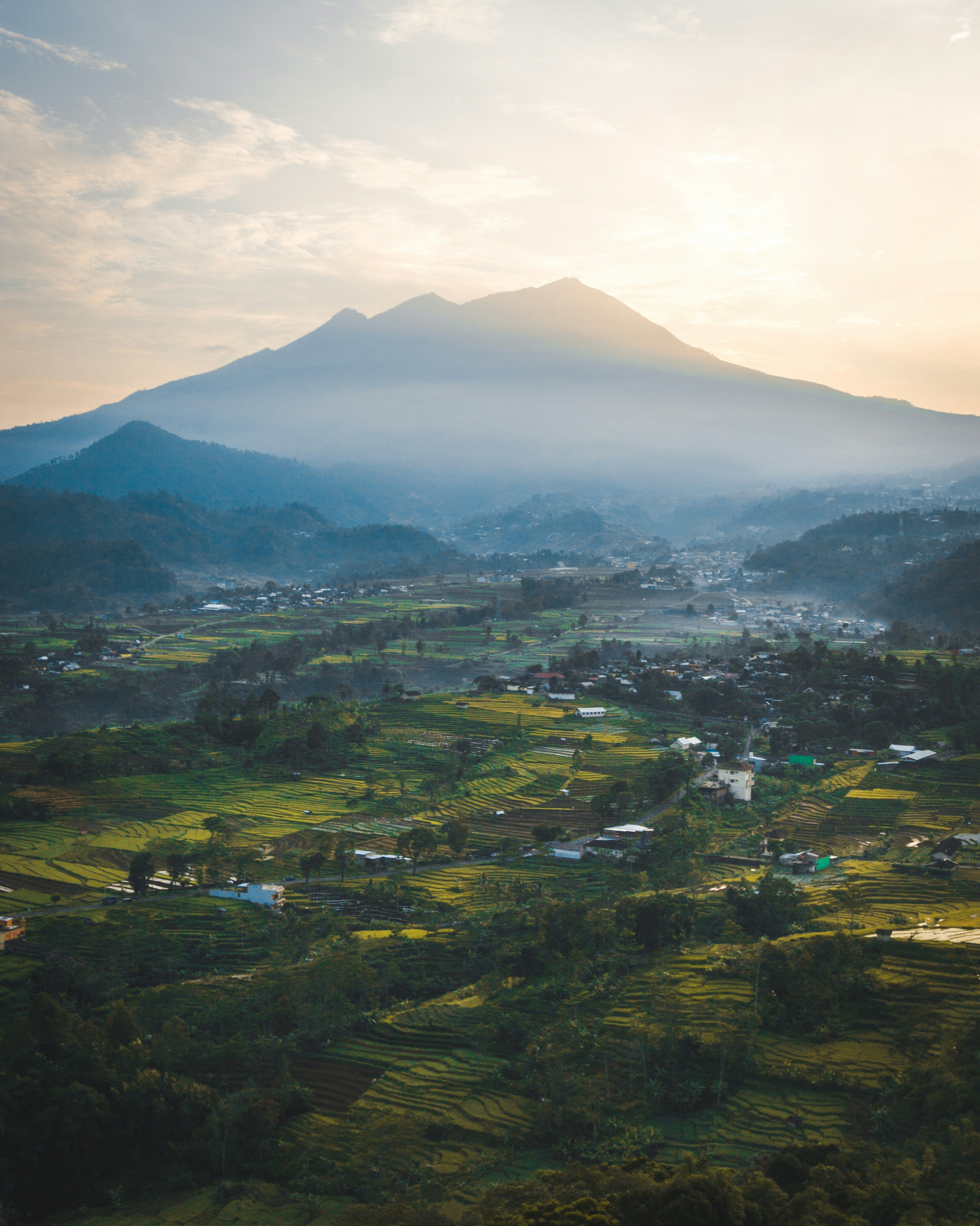 Lush green terraces stretch across the valley under the gentle embrace of a misty mountain backdrop at sunrise.