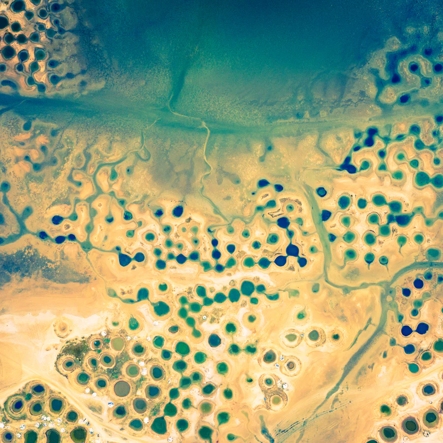 Aerial view showcasing intricate circular patterns formed by water and land, revealing the dynamic interplay of nature and geography.