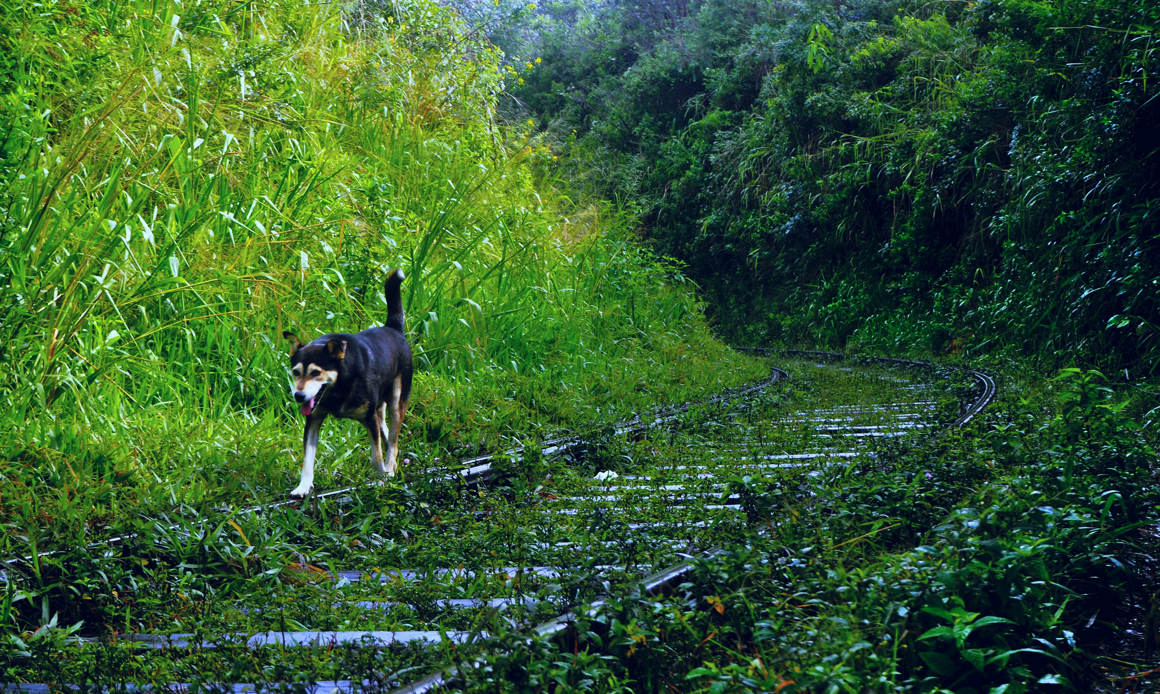 Tom Nicholson (@tomnpics) | Komunitas Foto Unsplash