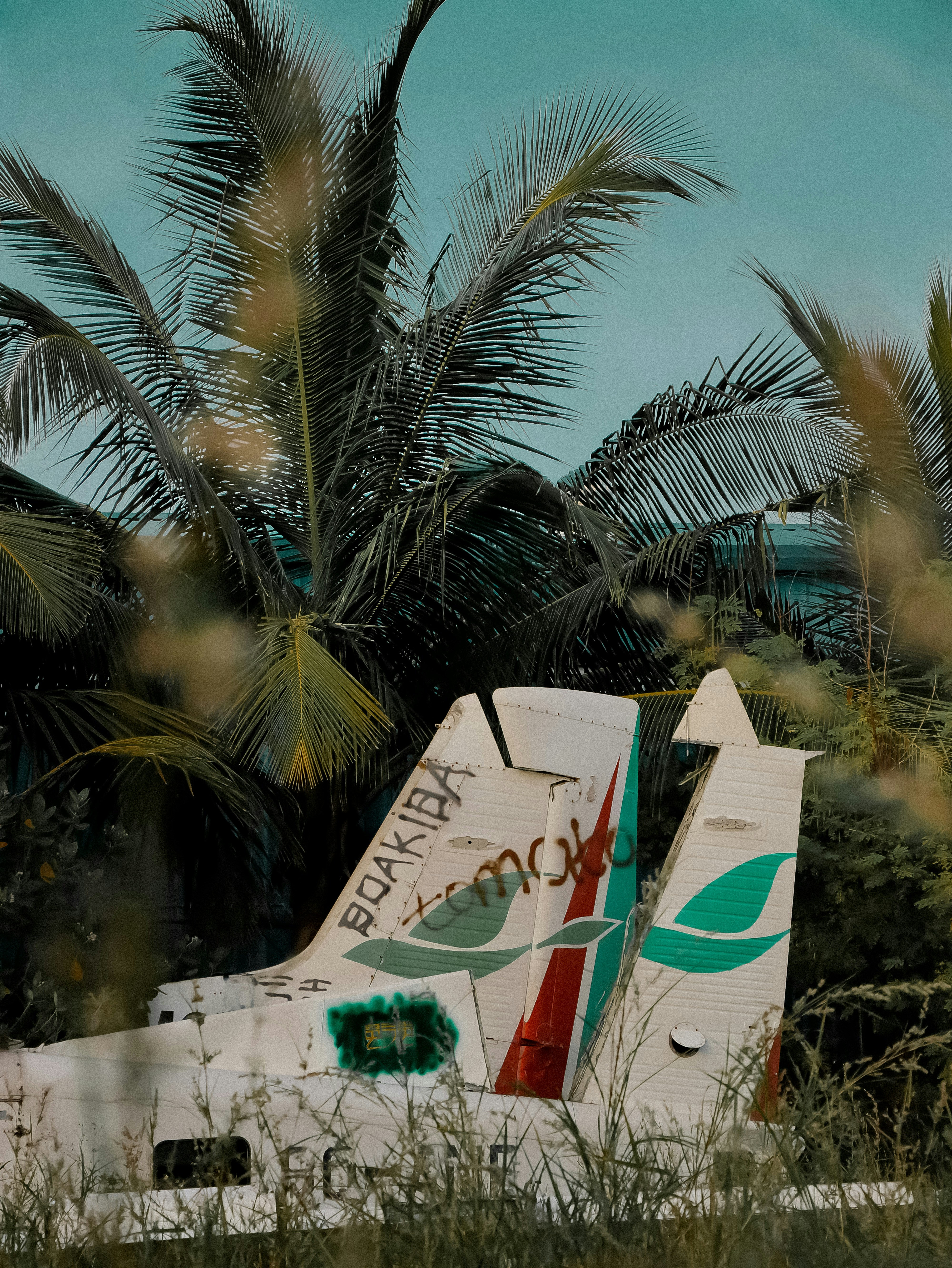 Sun-bleached wings and palm shadows: a toppled sea plane by the breakers