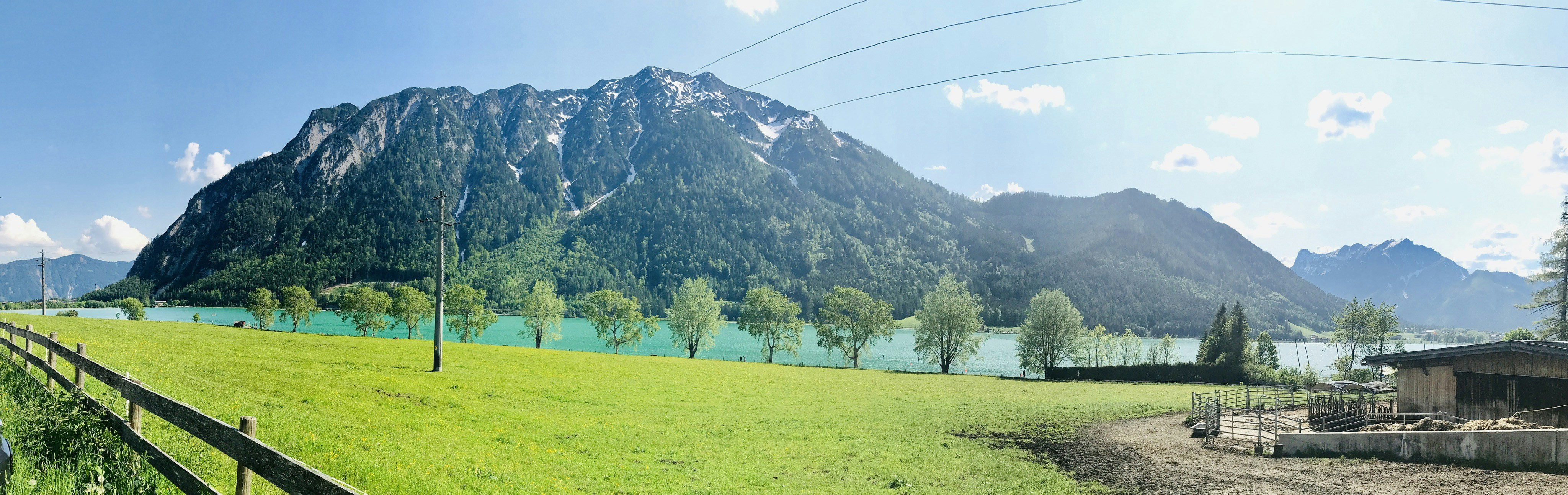 Green Grass Field With Green Trees And Mountain In Distance Photo