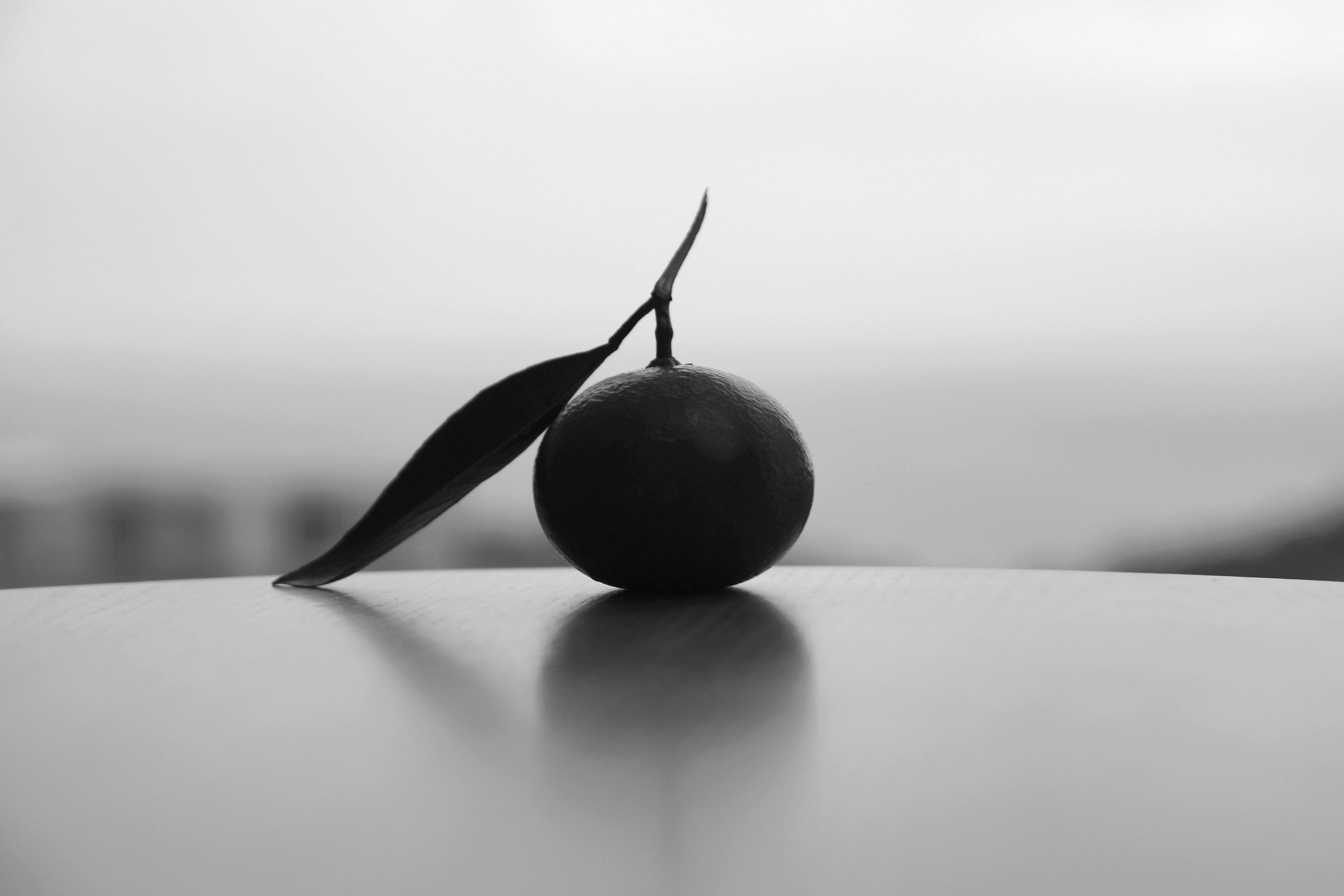 Solitary Citrus in Mono: A Quiet Study of Light and Form
