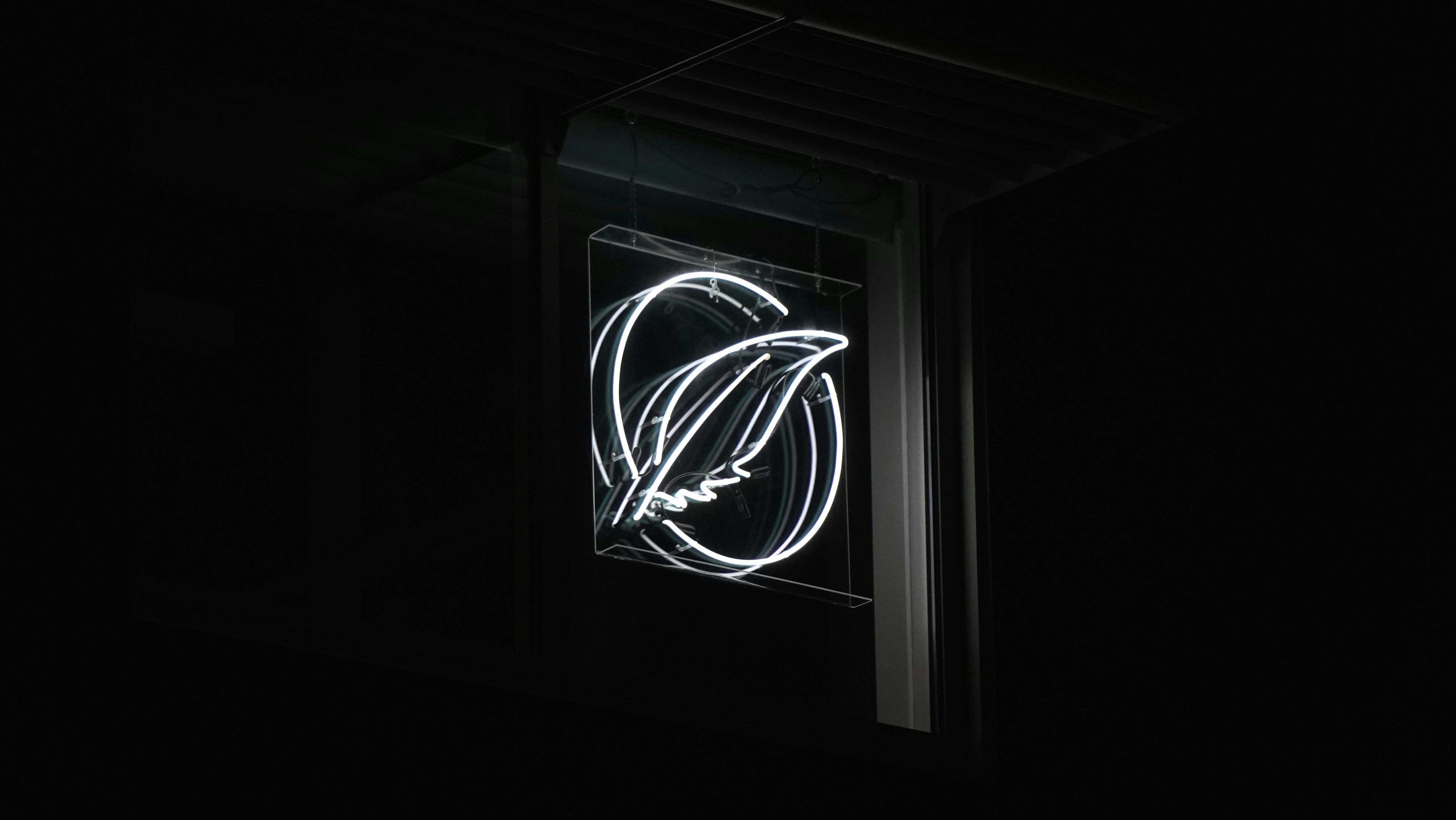 Nocturnal Neon Glyph: A Leaf-Like Loop in a Dim Window