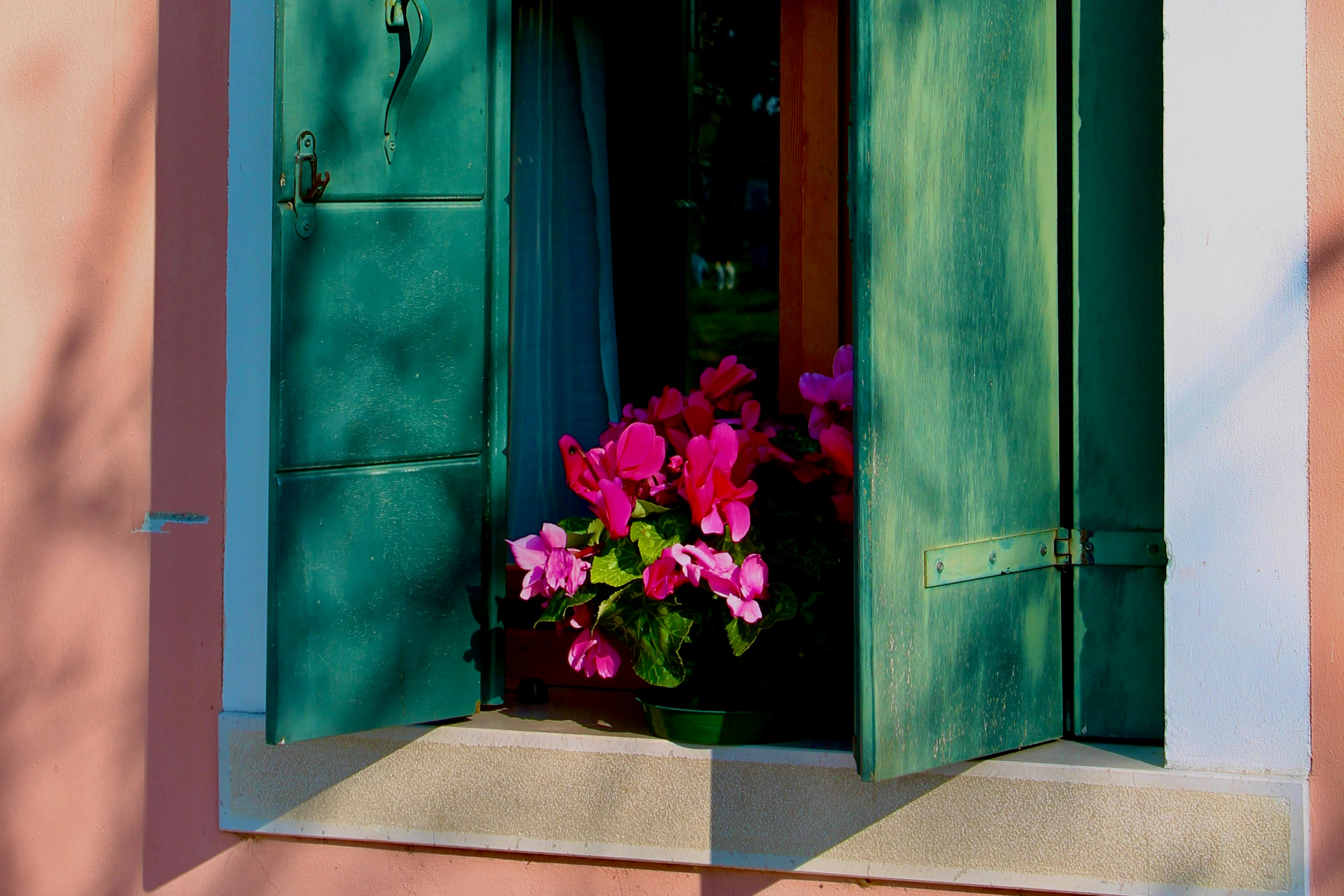 Vibrant pink flowers bloom in a green window box framed by open shutters, showcasing a harmonious blend of colors and textures.