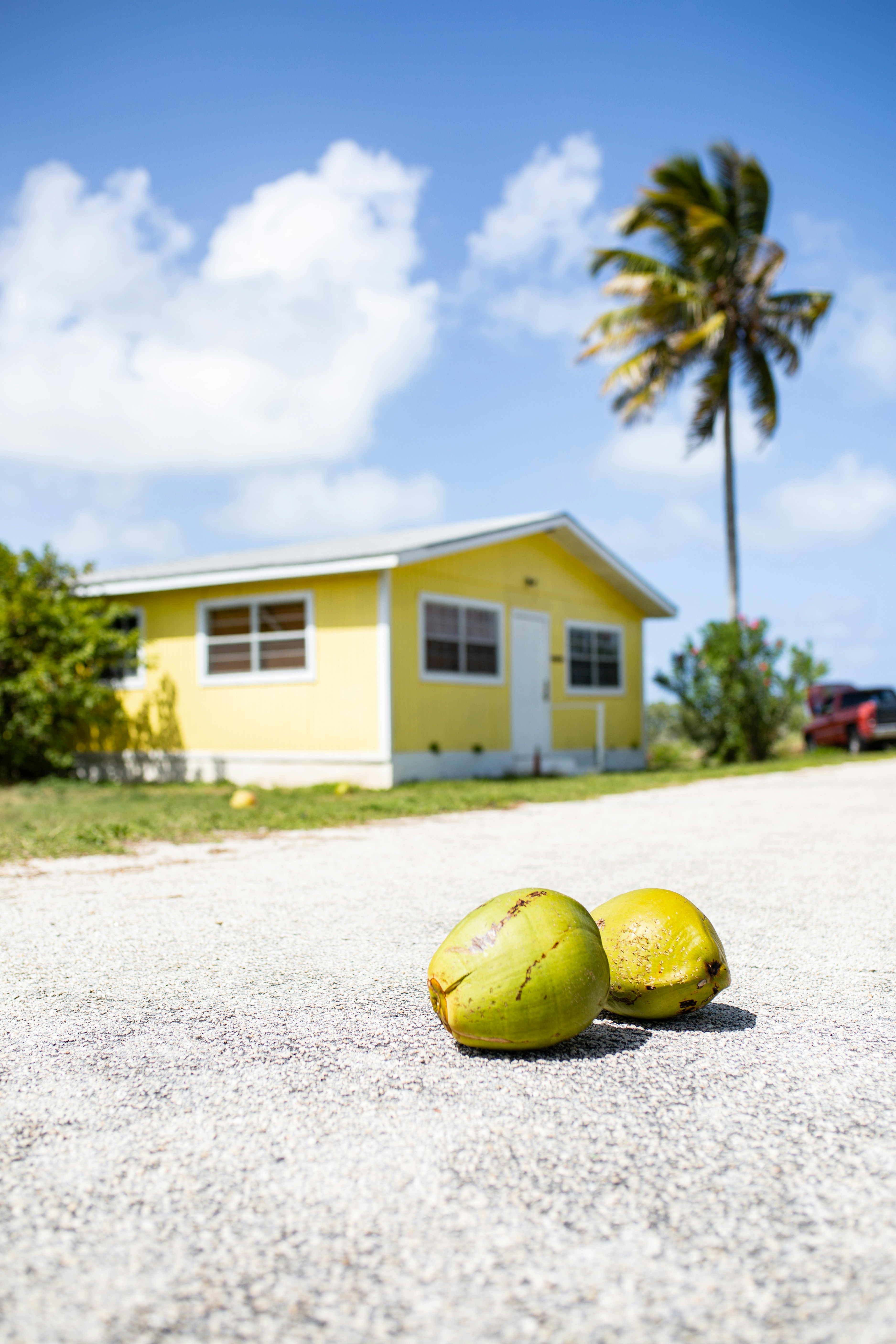 Foto Frutos redondos amarillos y verdes sobre arena blanca durante el ...