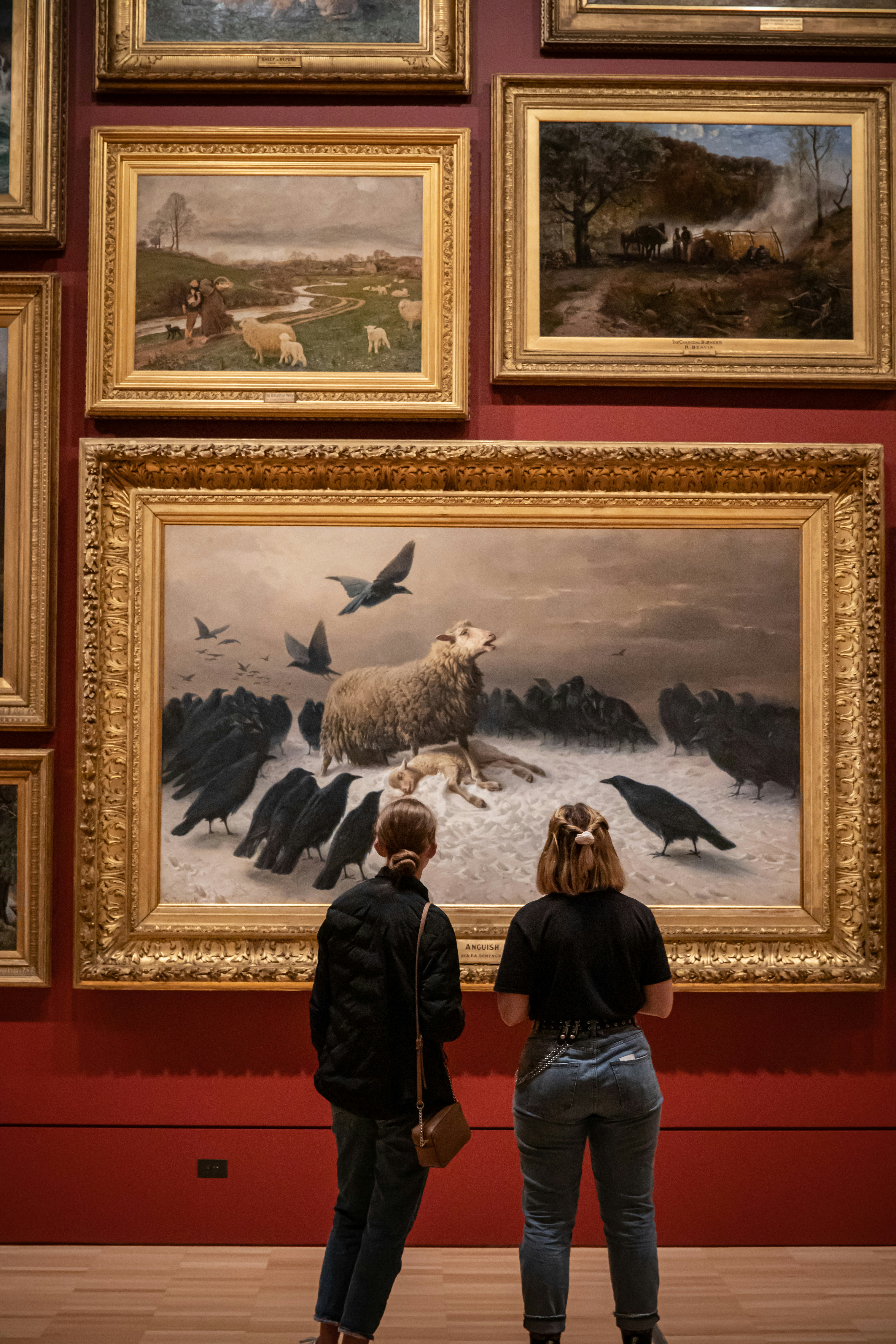 Contemplation Before a Flock: Viewers Observe a Sheep Surrounded by Crows