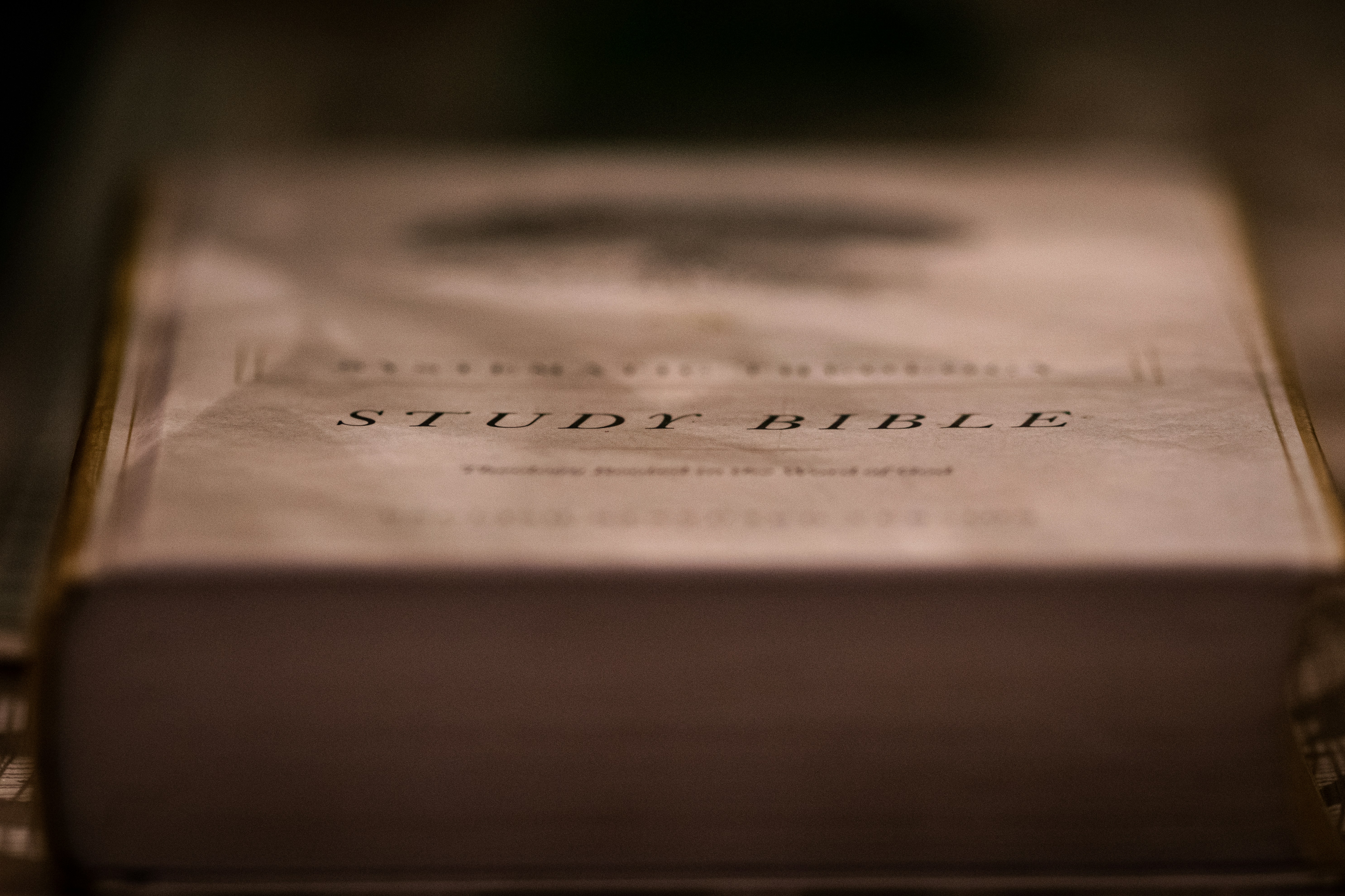 Study Book 사진 | Unsplash에서 무료 이미지 다운로드