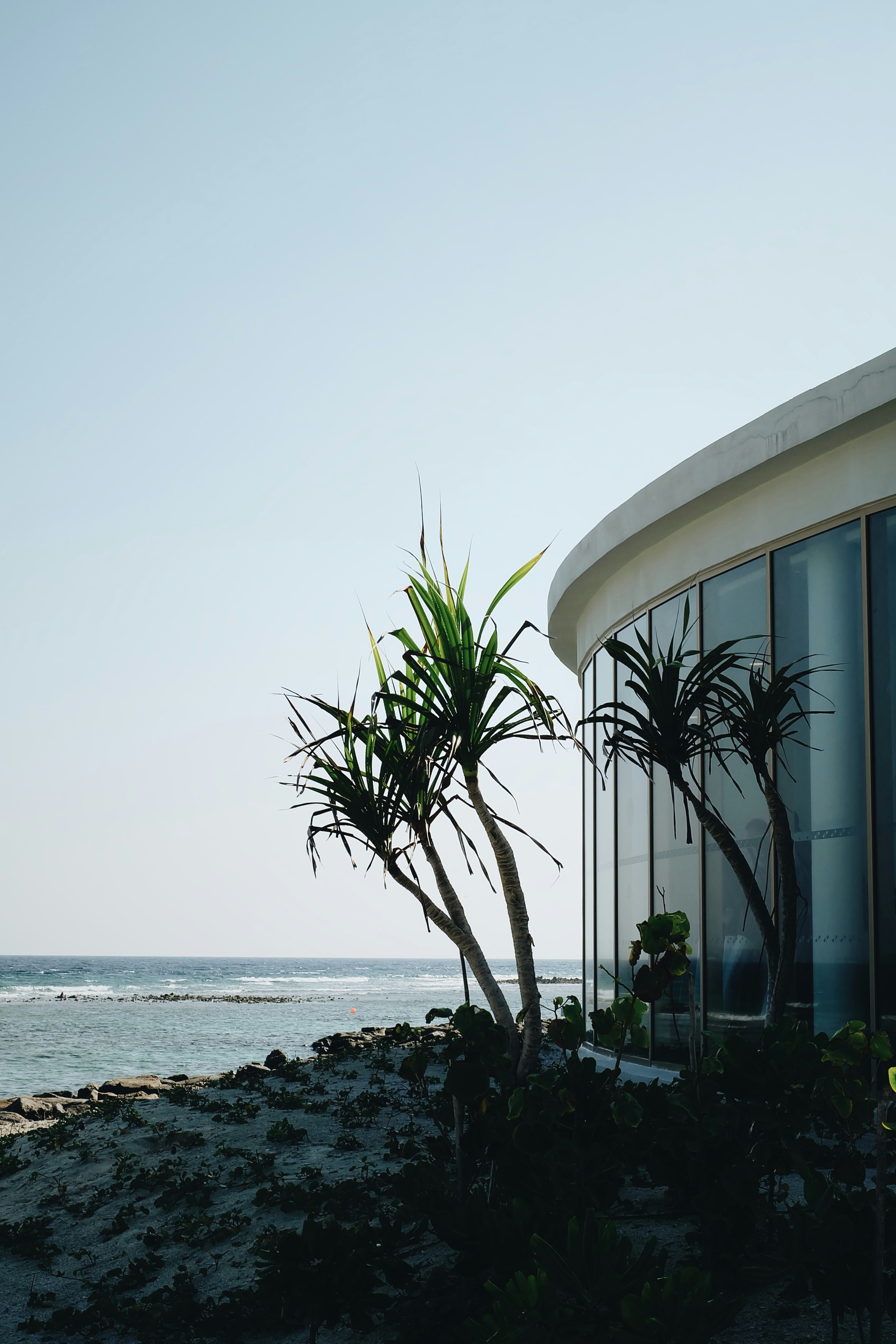 Tropical plants frame a sleek, modern building along a tranquil beach shoreline. The clear sky and ocean waves enhance the peaceful atmosphere.