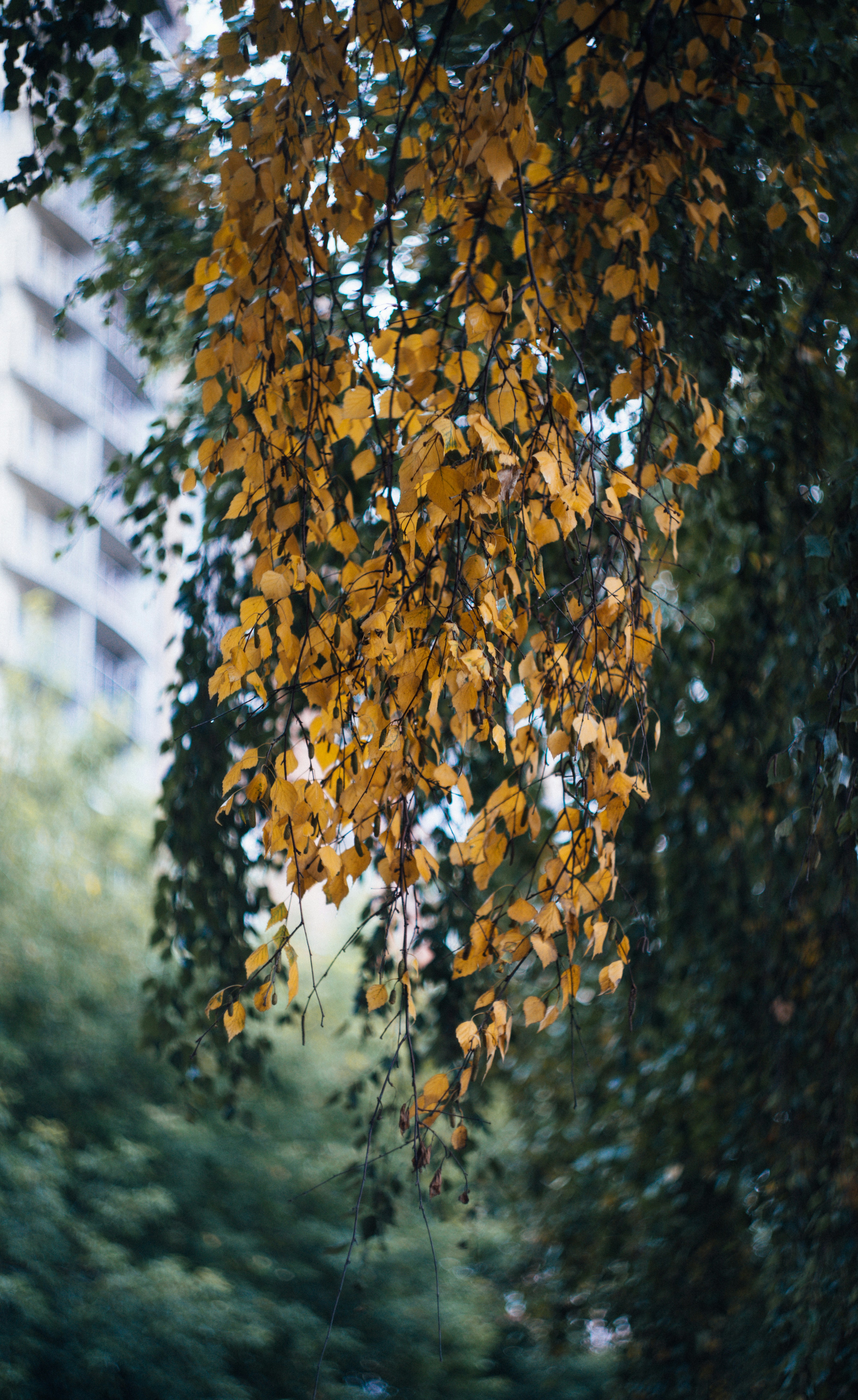 Splash Screen Pictures | Download Free Images on Unsplash