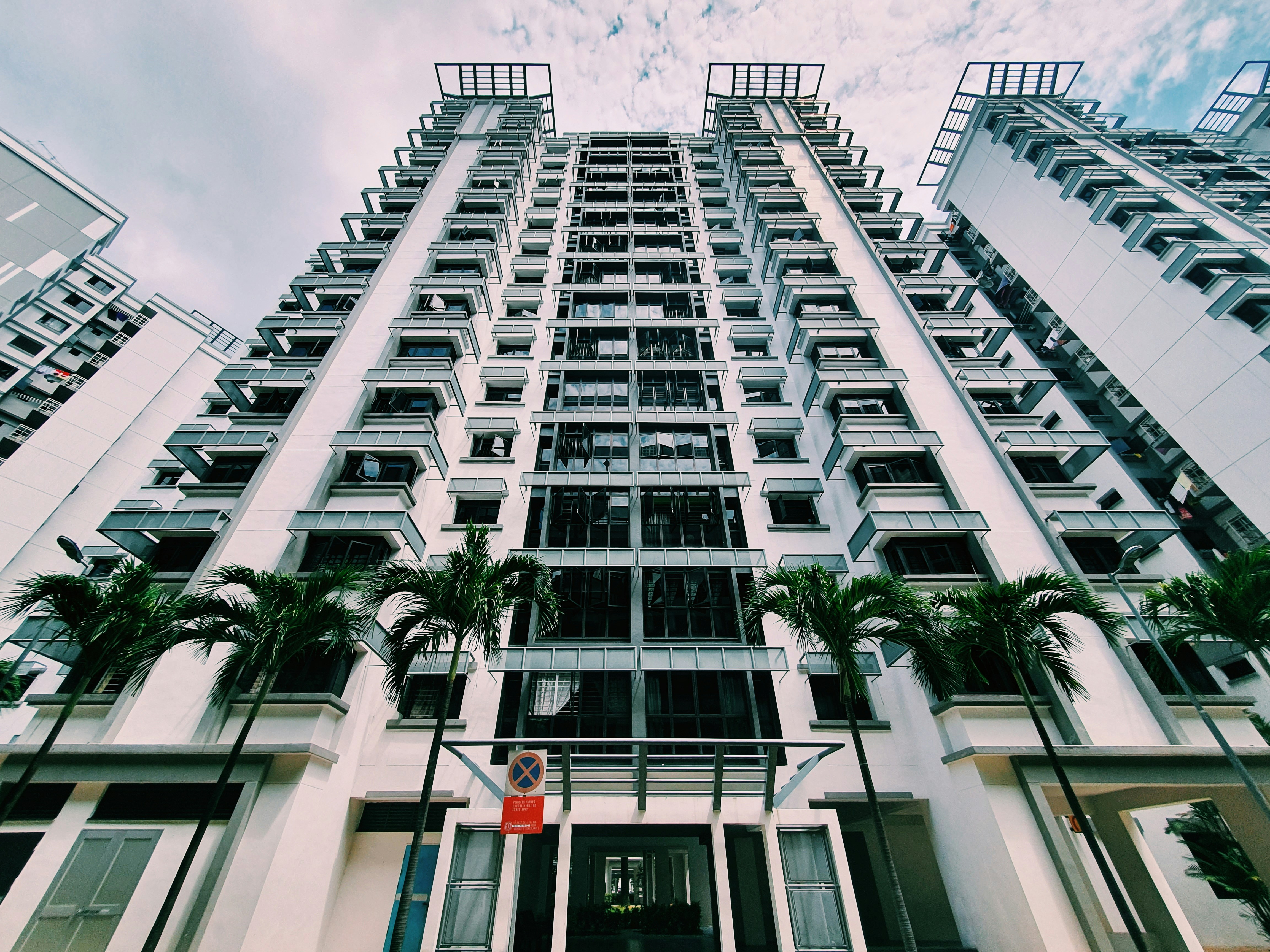 Symmetry Under Steel and Sky: Palm-Fringed Towers Rise