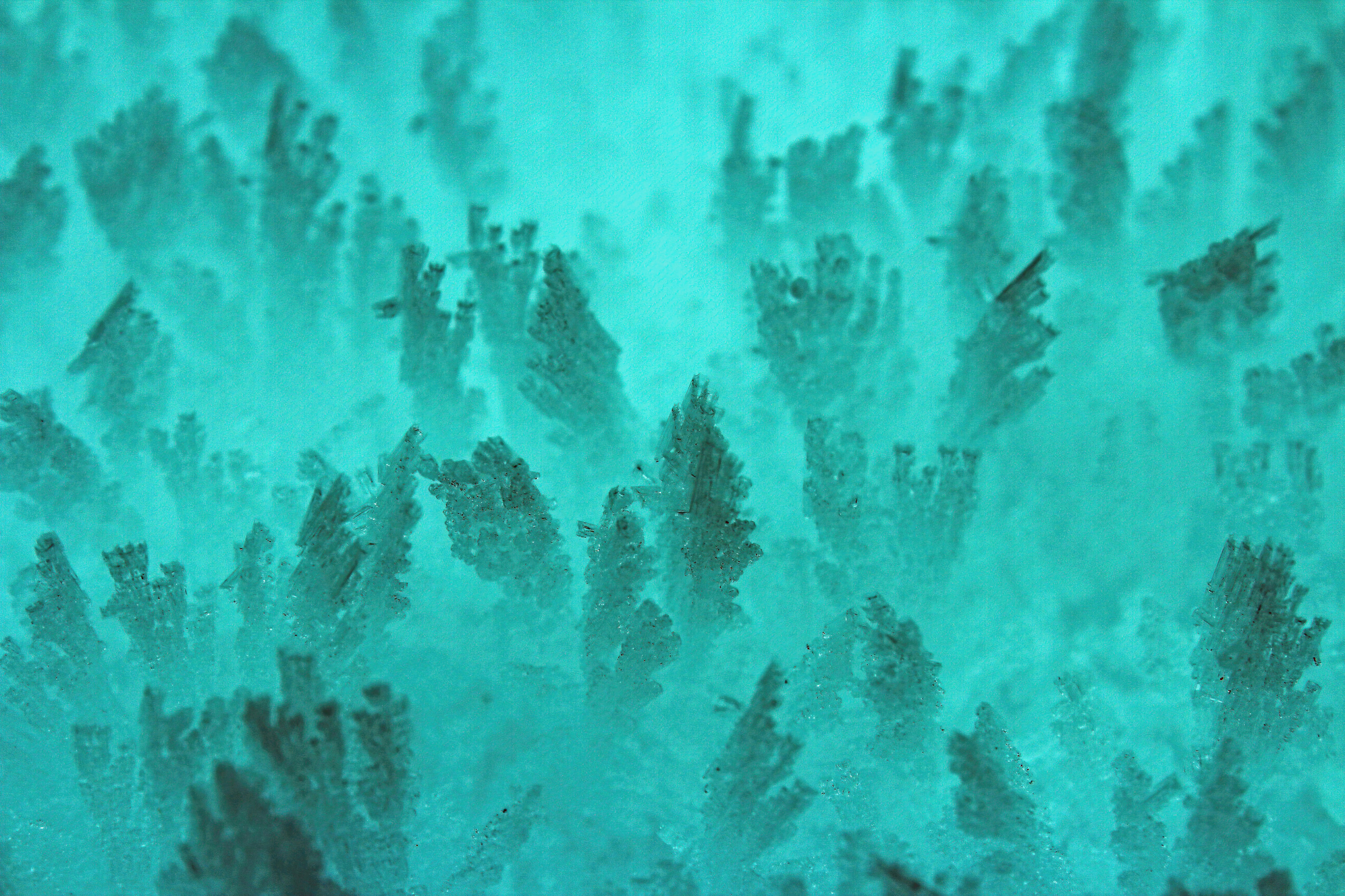 Frost crystals form intricate, vertical structures on a surface.