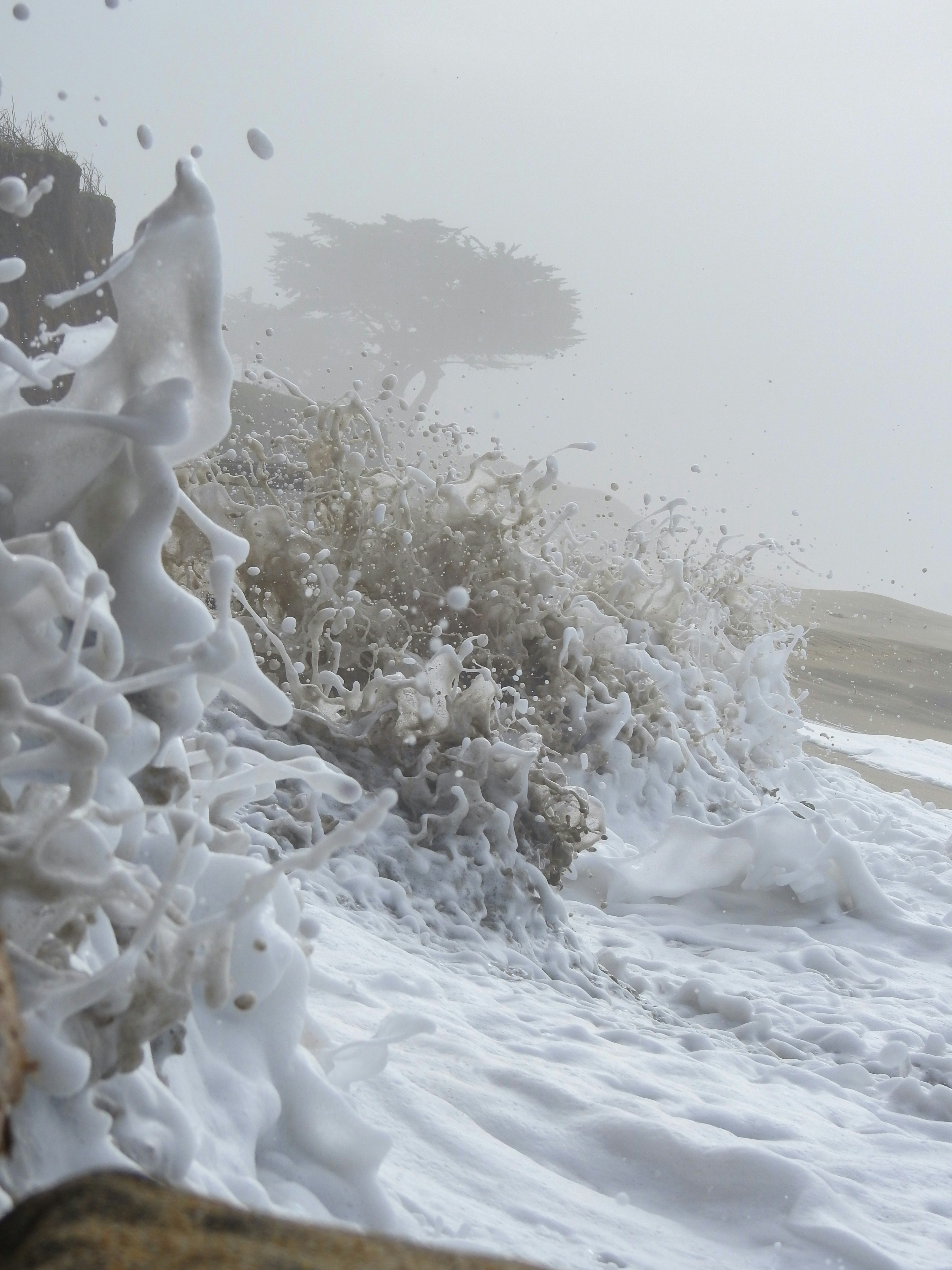 Foamy ocean waves crashing against rocky shore, with a silhouette of a tree in the background. The image captures the dynamic interplay of water and land.