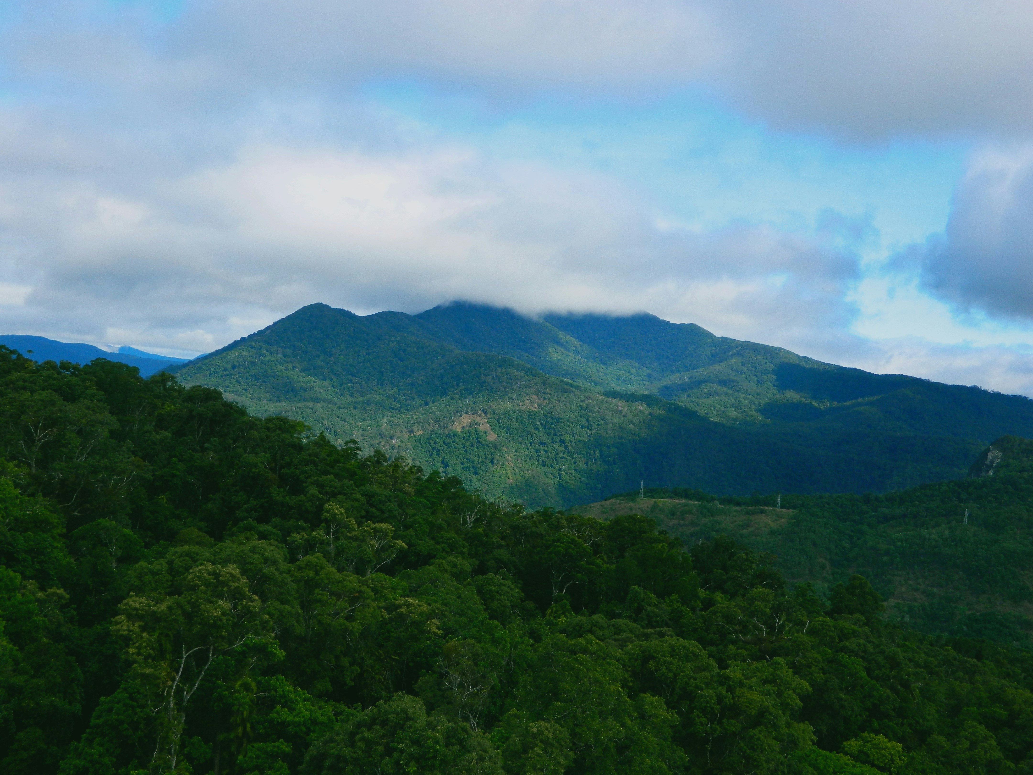 Lush green forest stretches towards distant mountains, partially shrouded in clouds, depicting a serene natural landscape.