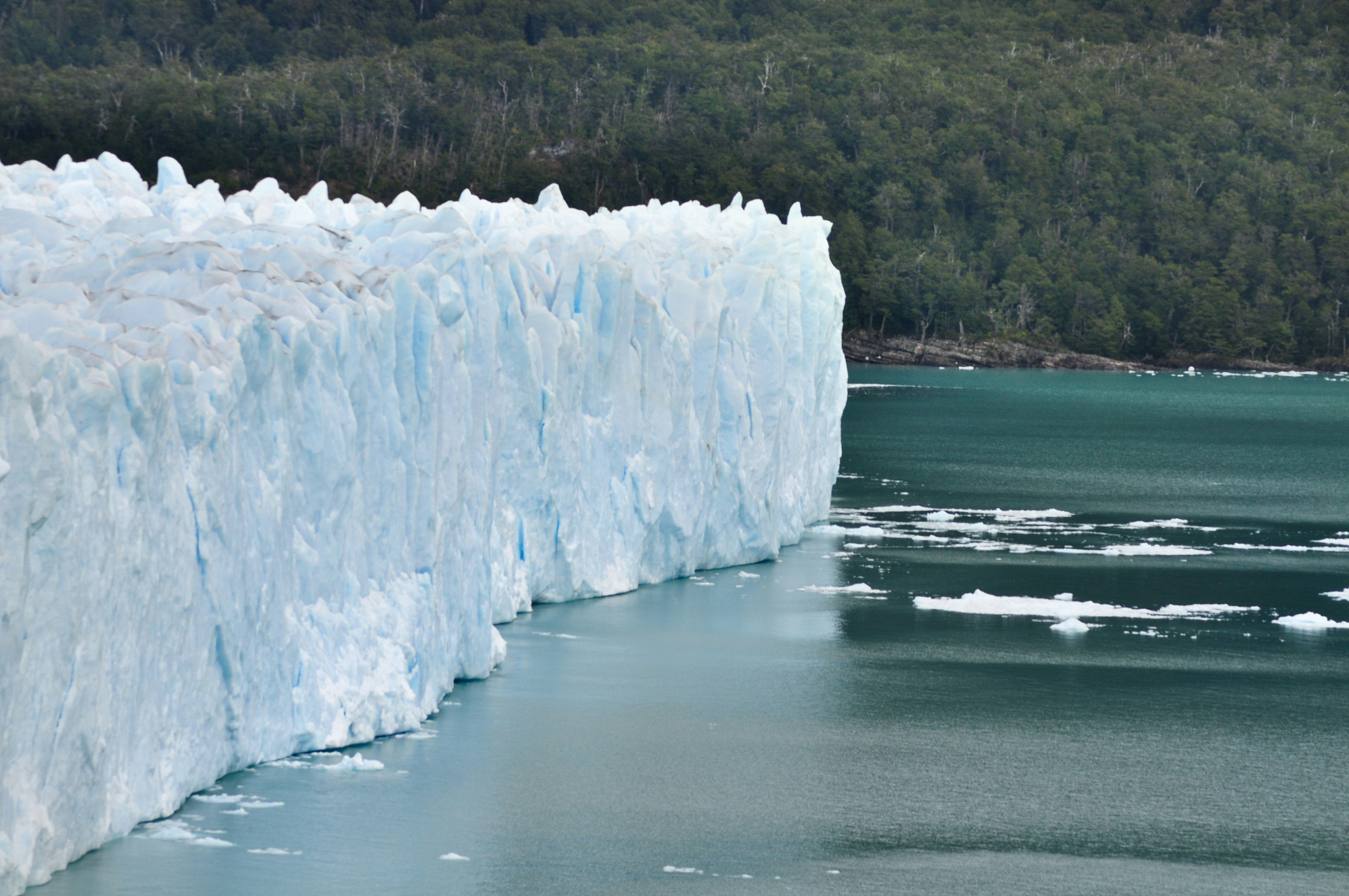 Massive glacier extending into turquoise waters with a forest backdrop.