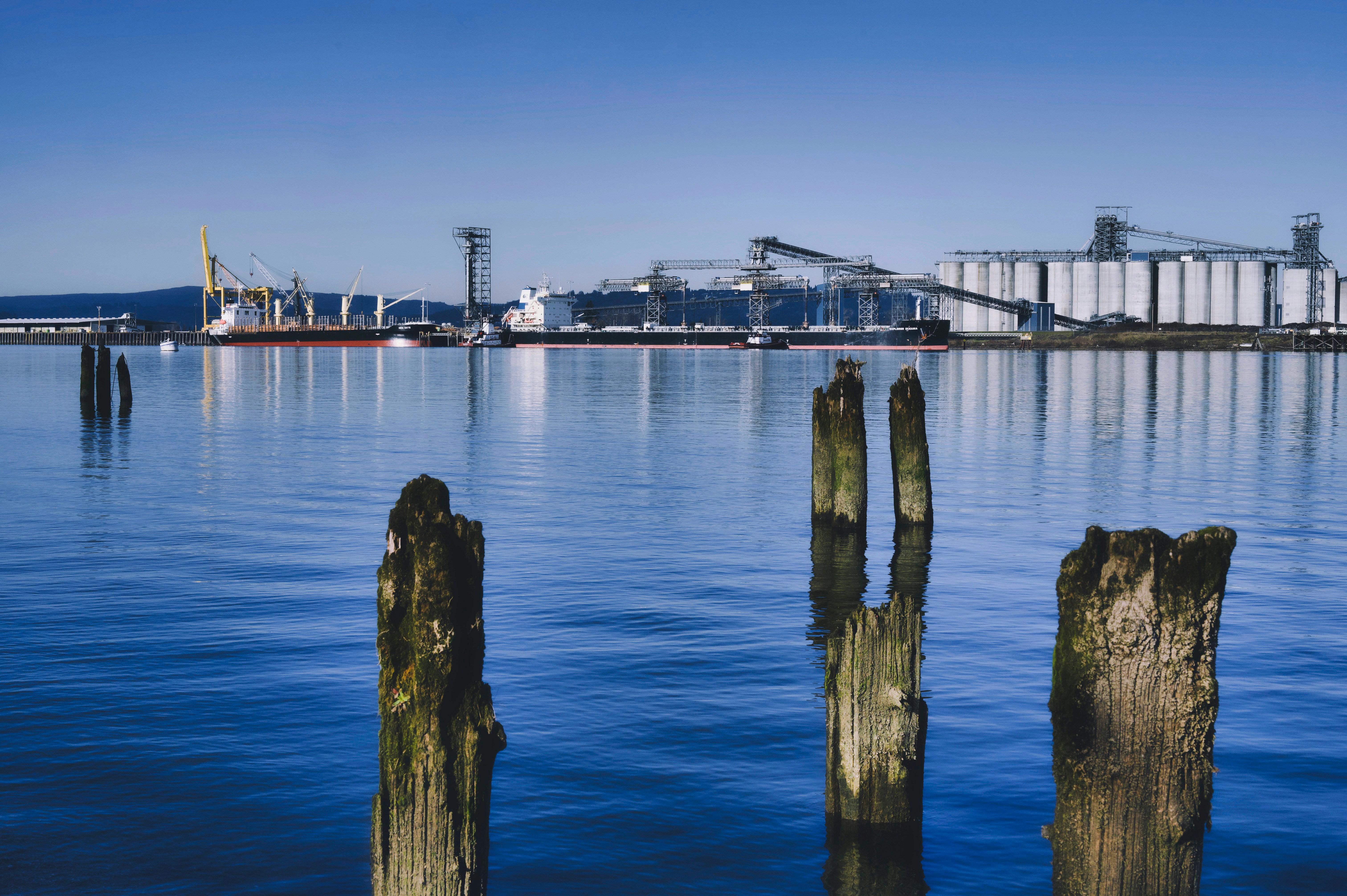 Weathered wooden pilings rise from a calm blue harbor with industrial buildings and ships in the distance.