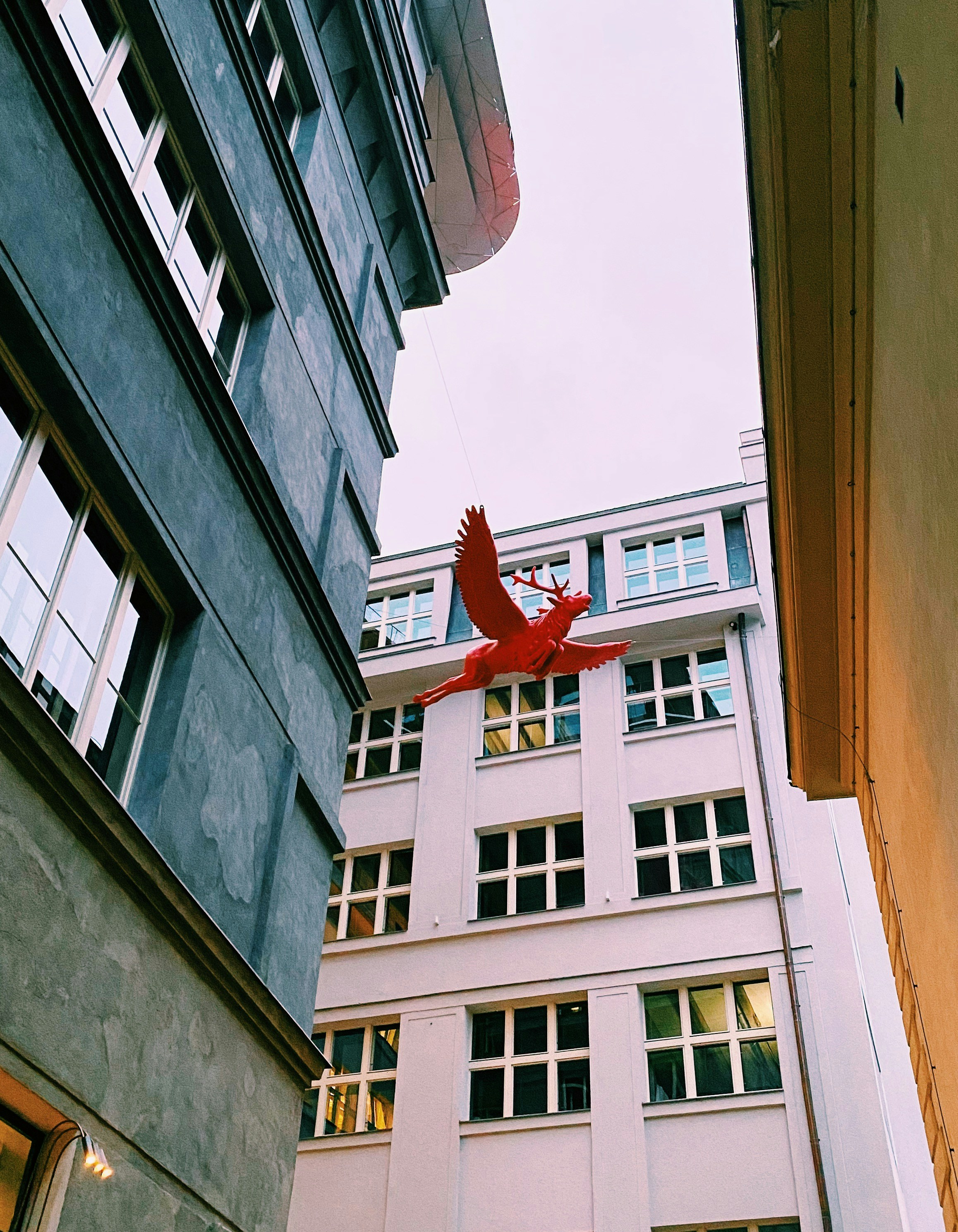 Photo by Anastasiia Voitenko with Apple iPhone 11