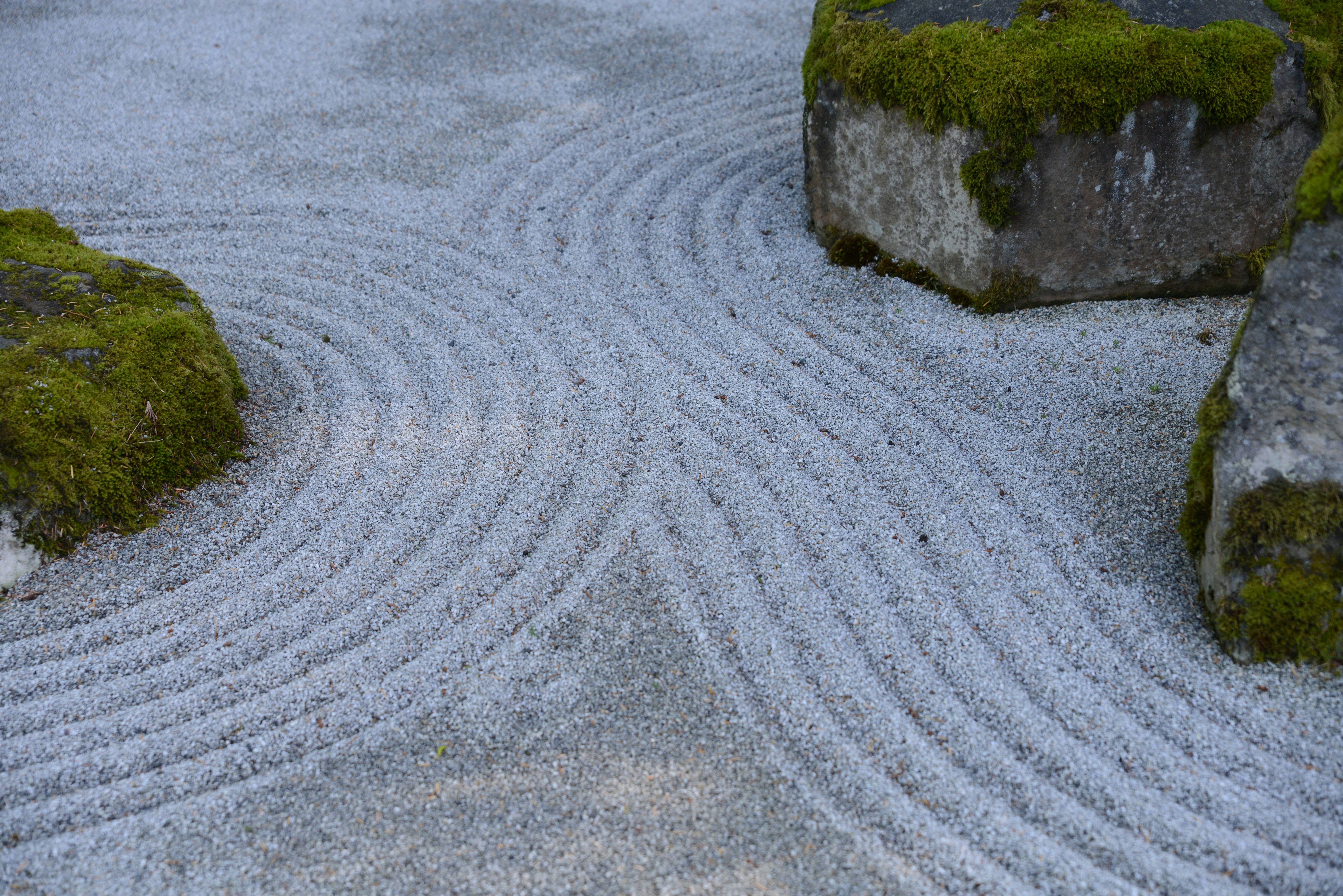 Raked Gravel in a Zen Pattern Between Mossy Stones