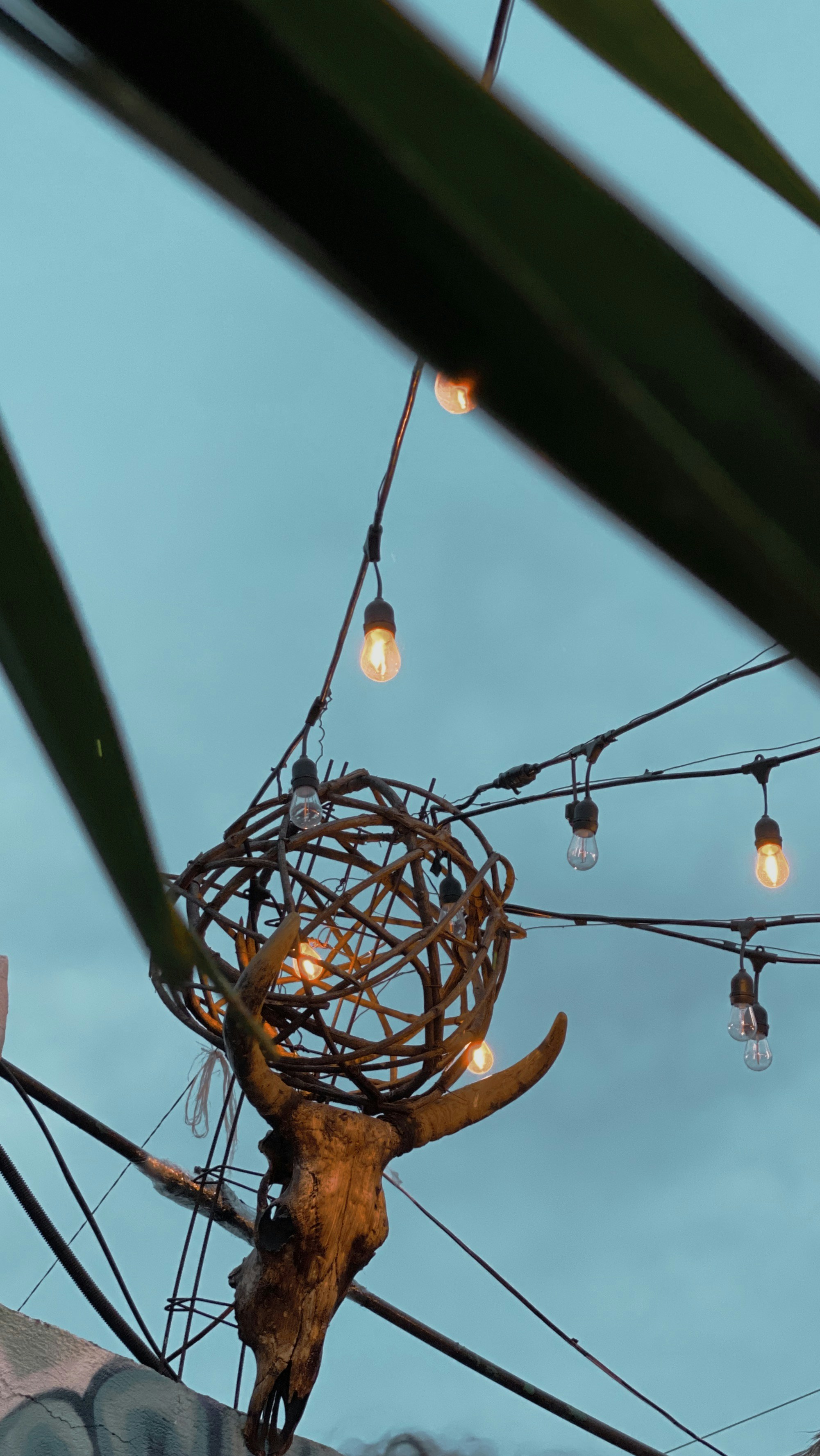Woven Orbs and Warm Lights Against a Cyan Sky