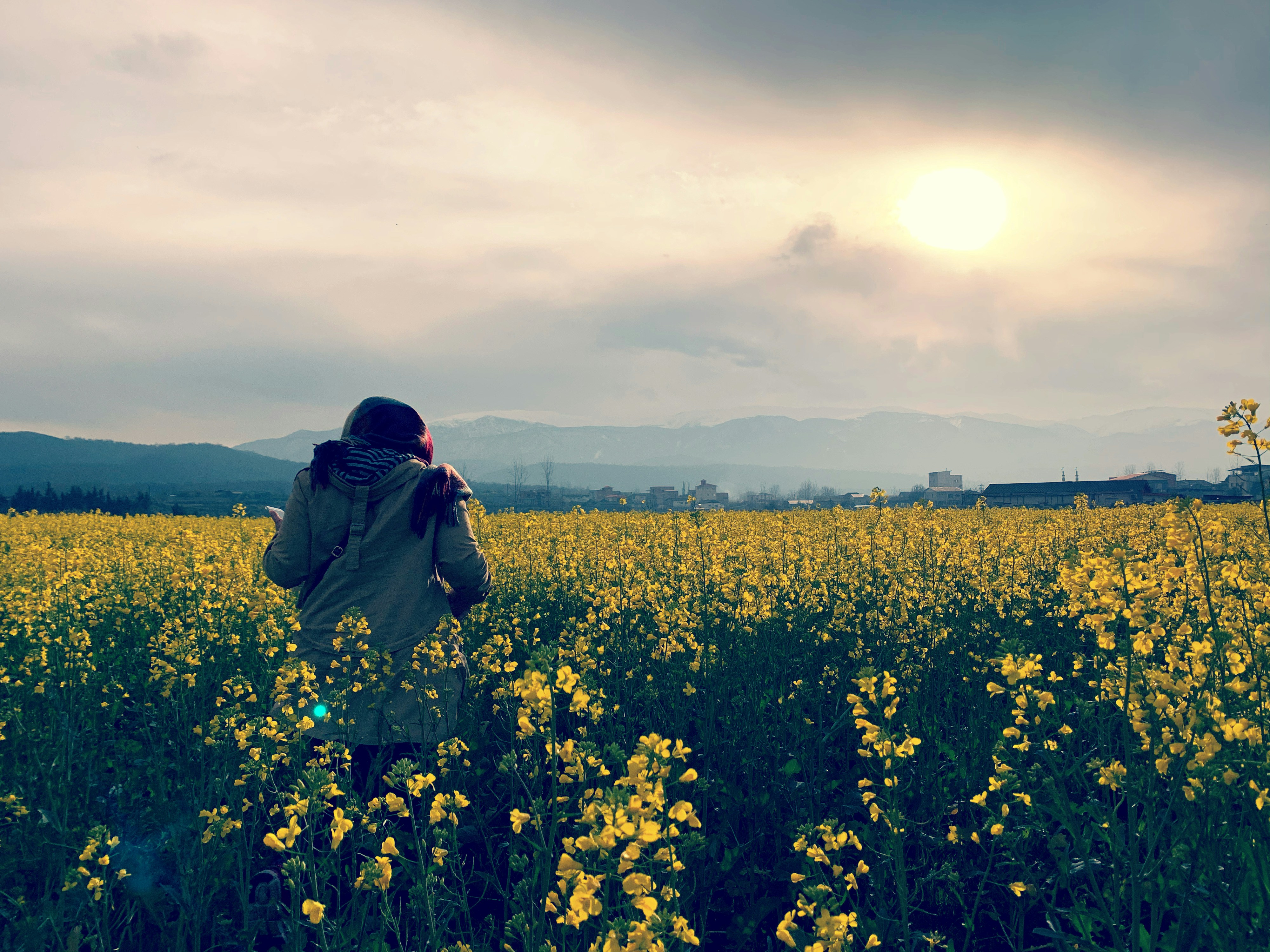 Person walking through a field of yellow flowers under a cloudy sky with the sun peeking through.