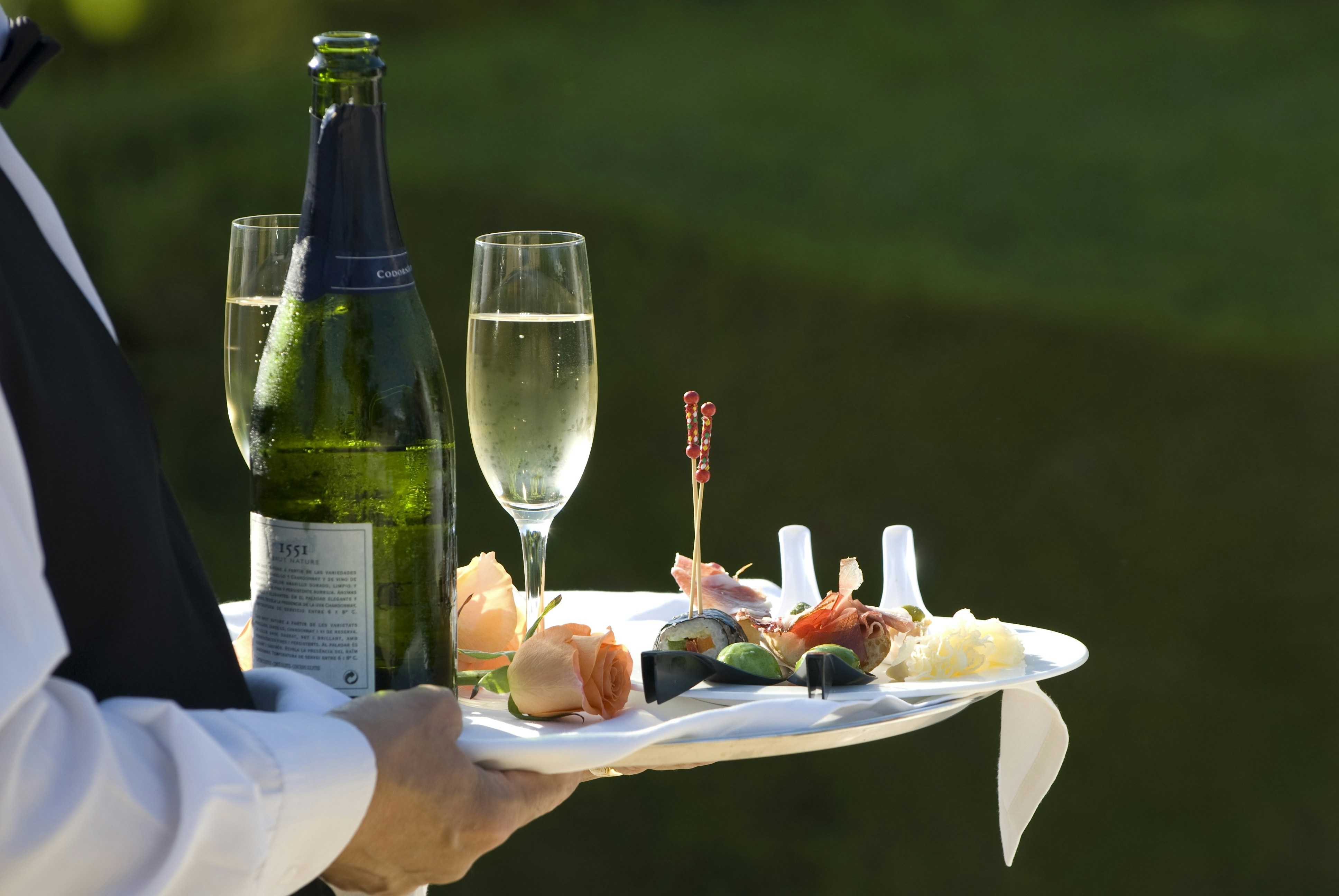 Sunlit Tray of Bubbles and Bites: Champagne, Glasses, and Hors d'Oeuvres
