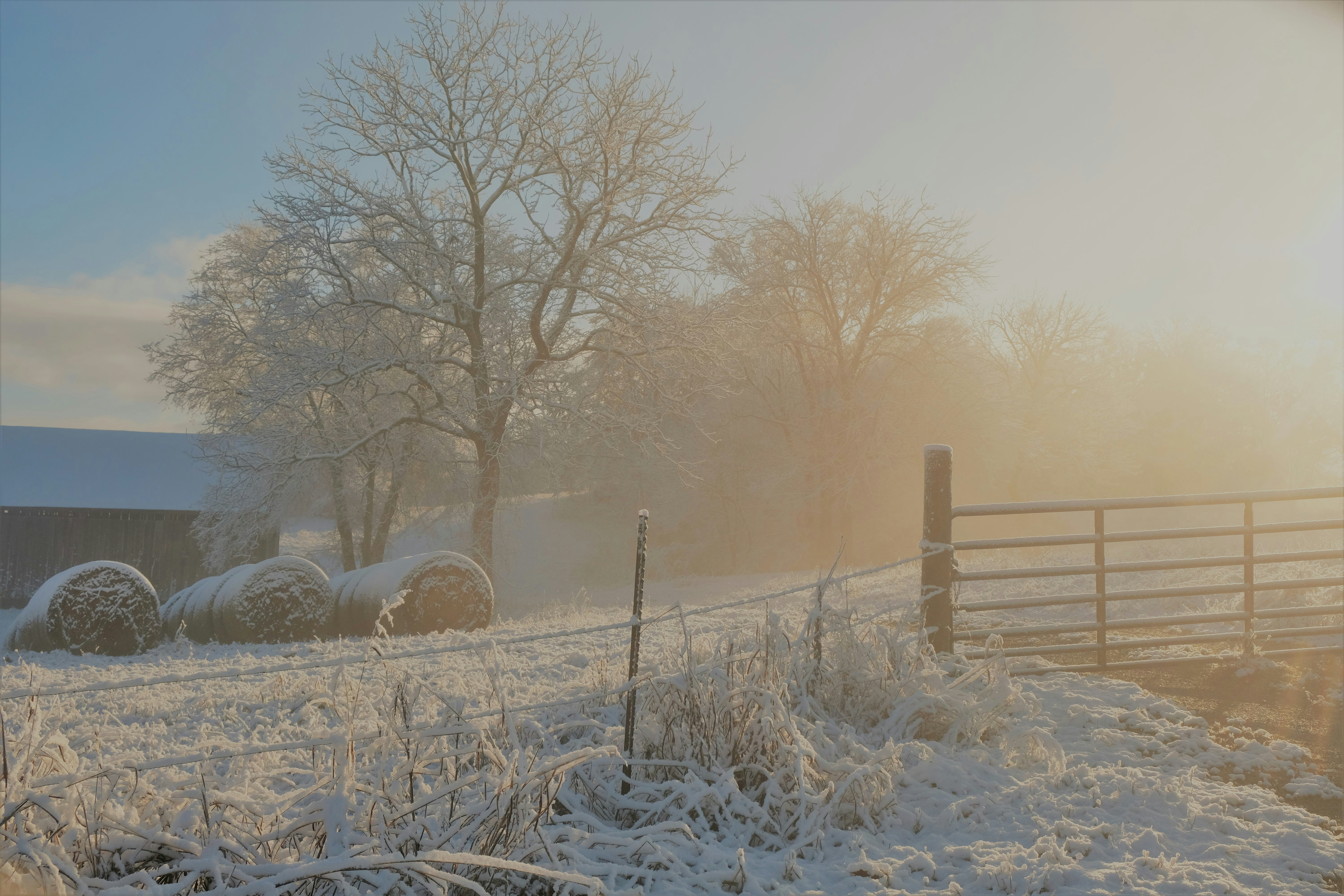 Dawn's Frost: Sunlit Mist Envelops a Rural Fence