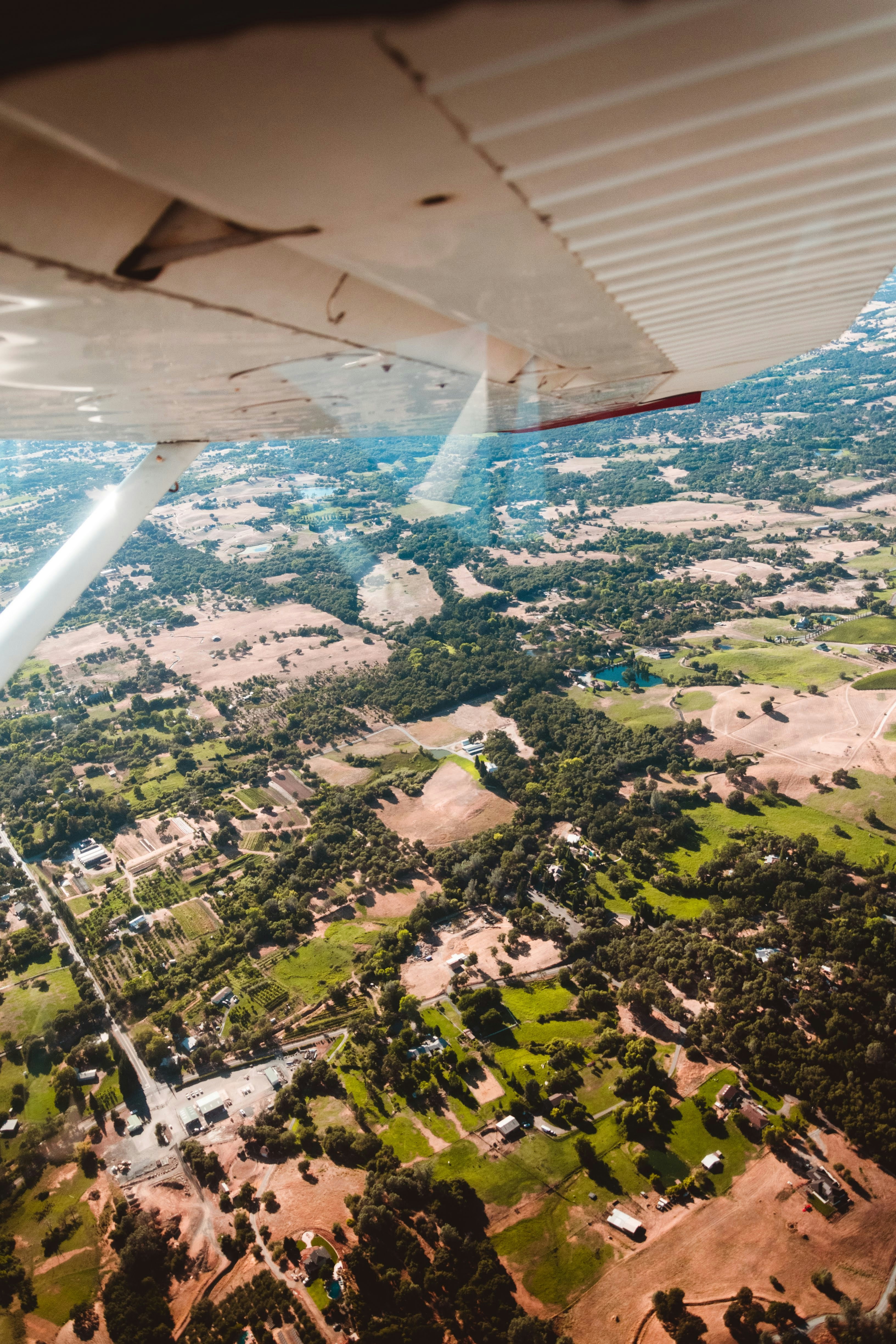 aerial view of green trees and buildings during daytime