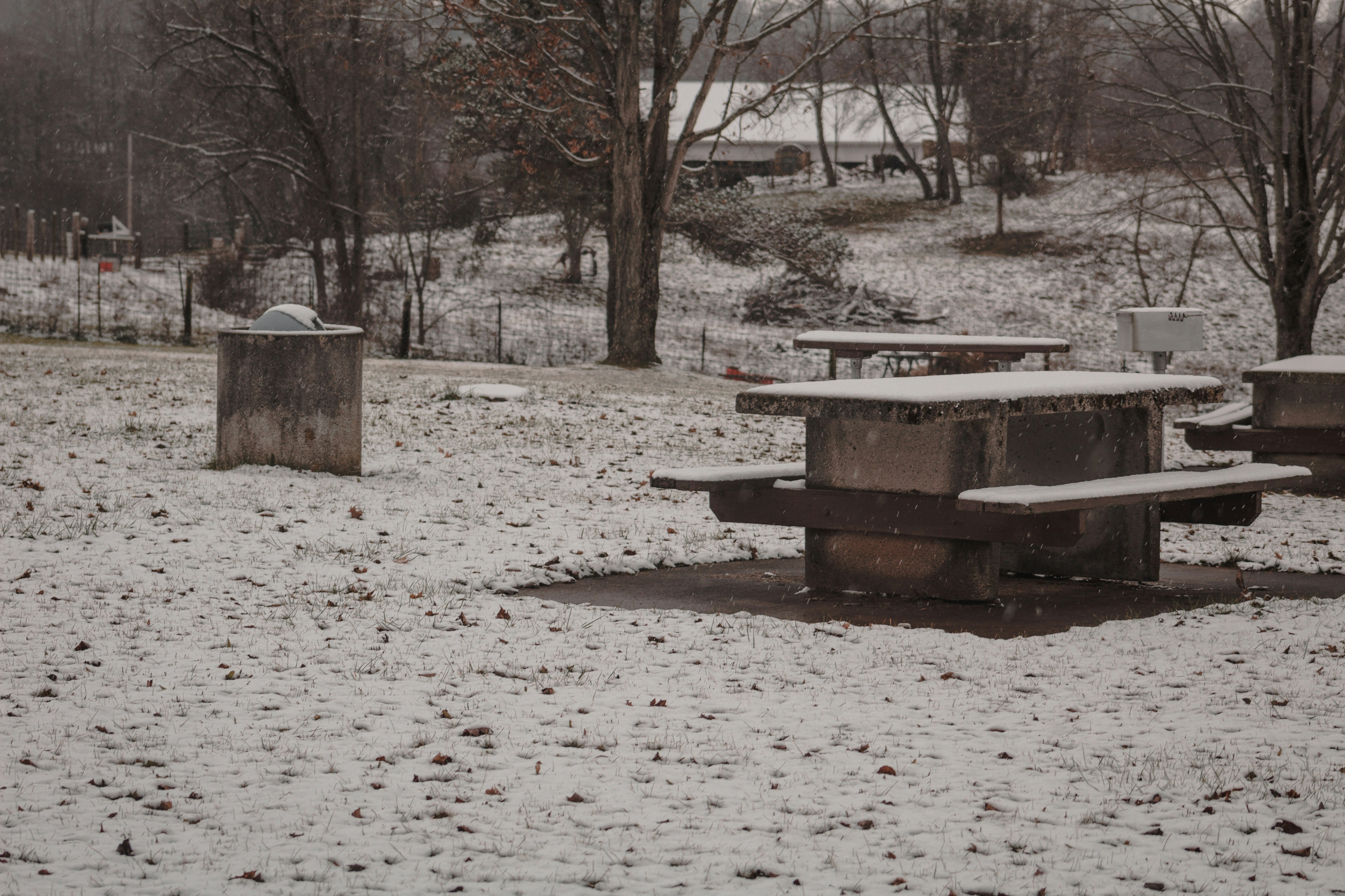 Rest Area Pictures | Download Free Images on Unsplash