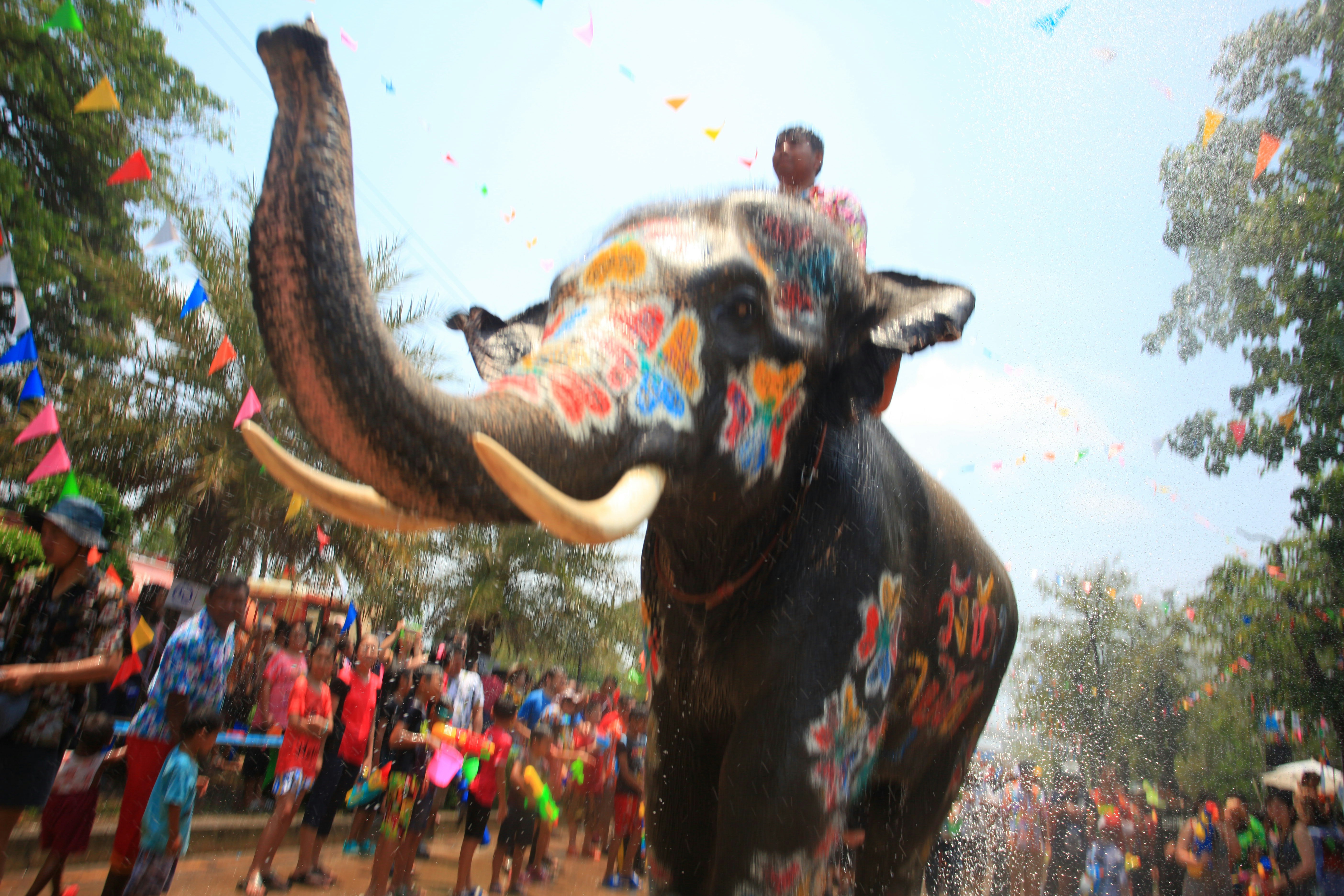 Colorful Parade Descent: An Elephant in Festive Flight