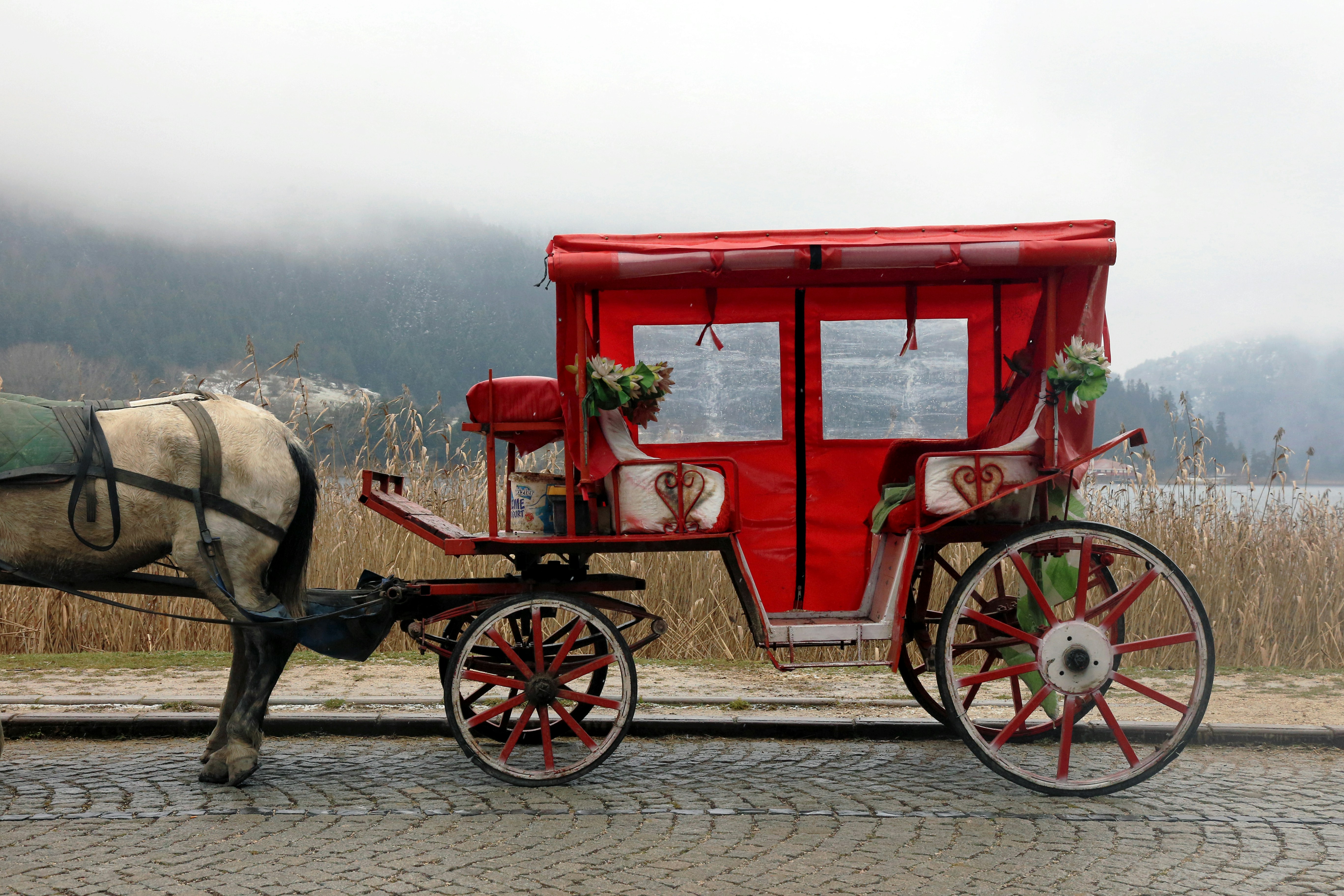 Carriage Pictures | Download Free Images on Unsplash